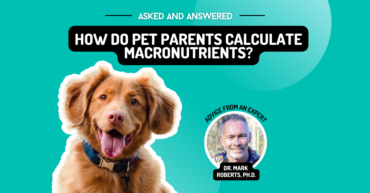 How Should Pet Parents Calculuate Macronutrients — The Bones & Co.