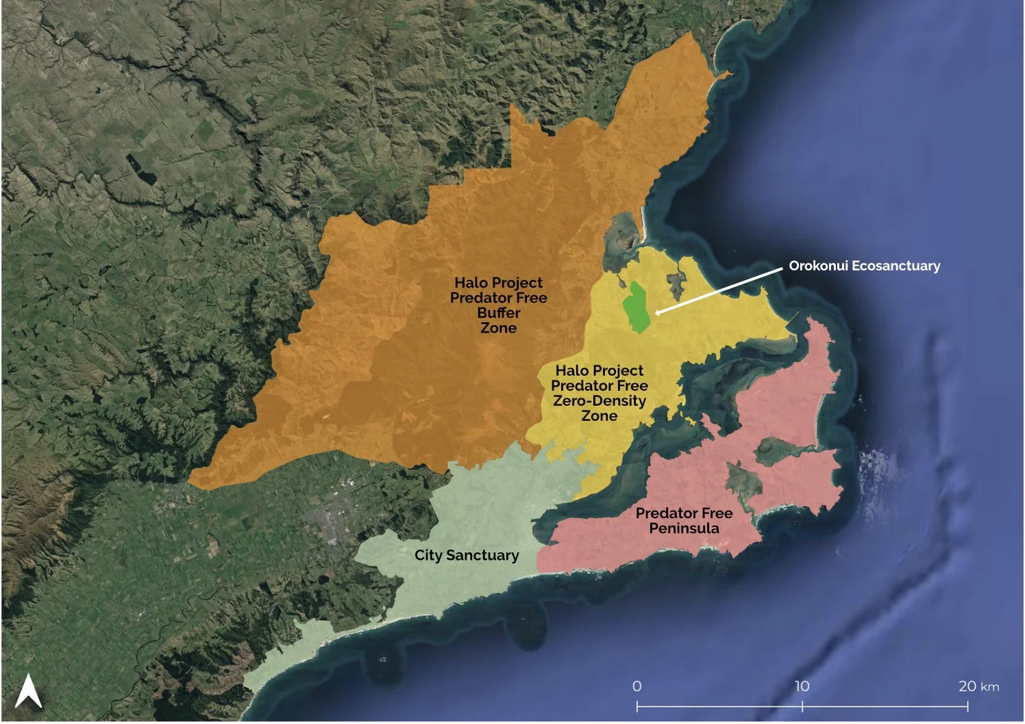 Predator Free Dunedin — The Halo Project