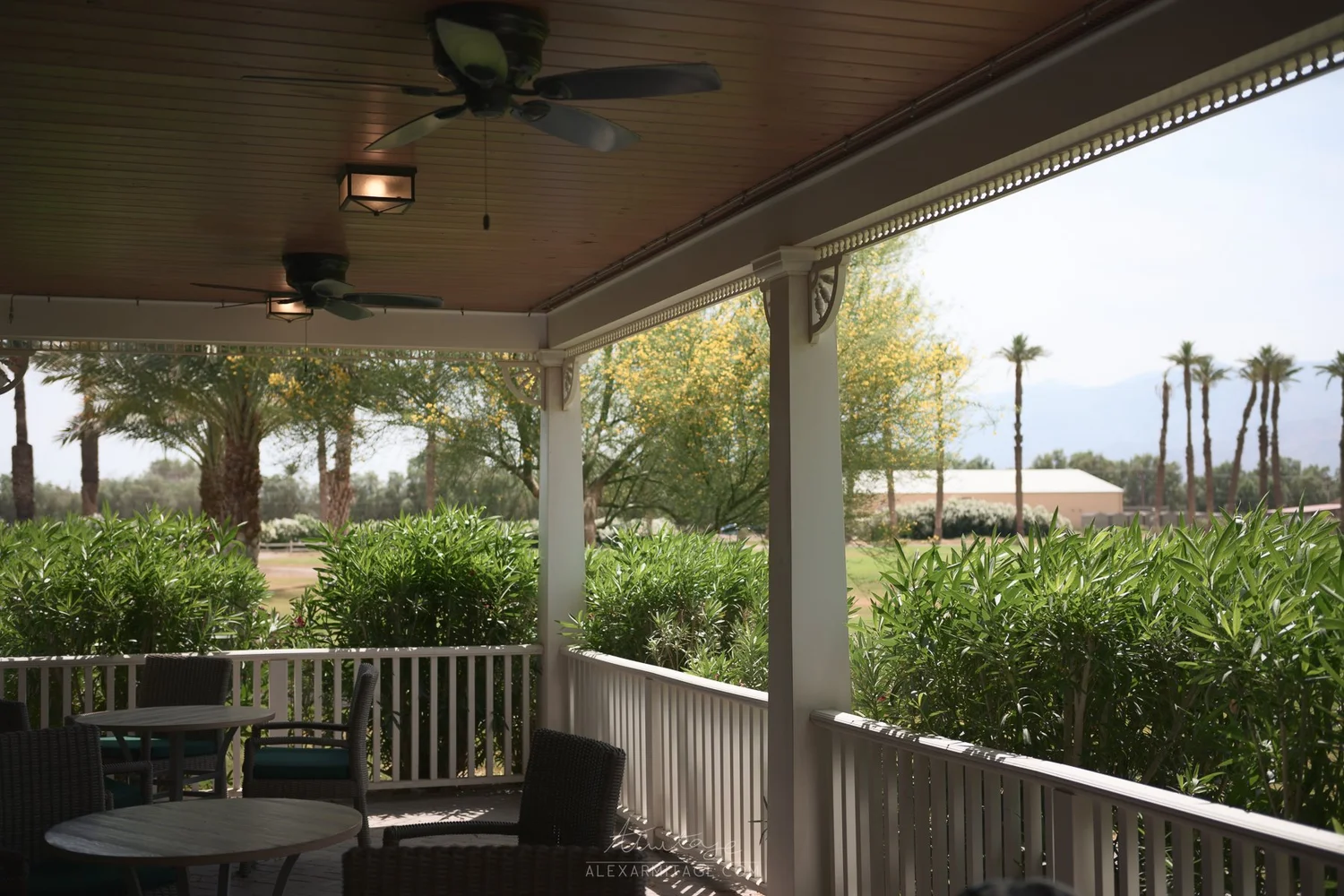 Alex Armitage | Nikon Recipes