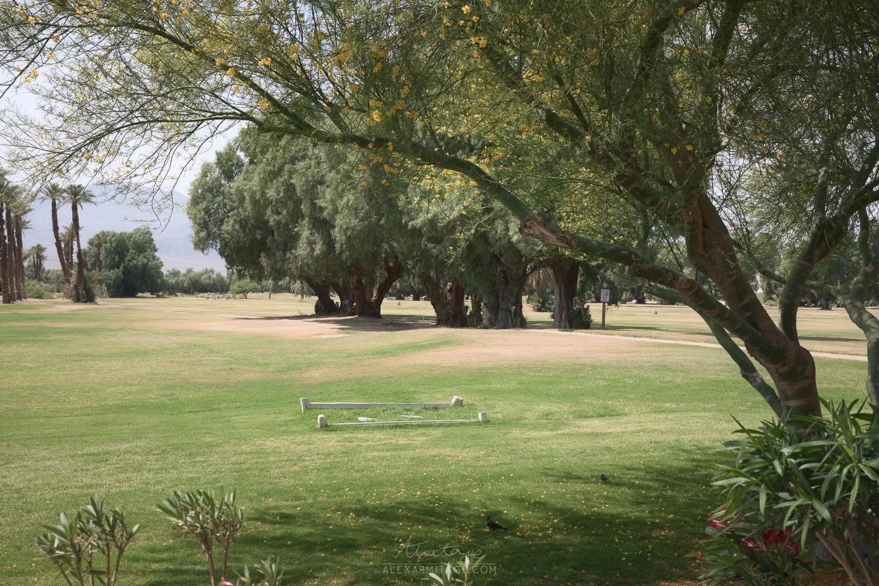 Alex Armitage | Nikon Recipes