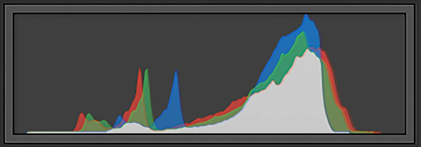 Alex Armitage | Beginners Guide to Photography Basics
