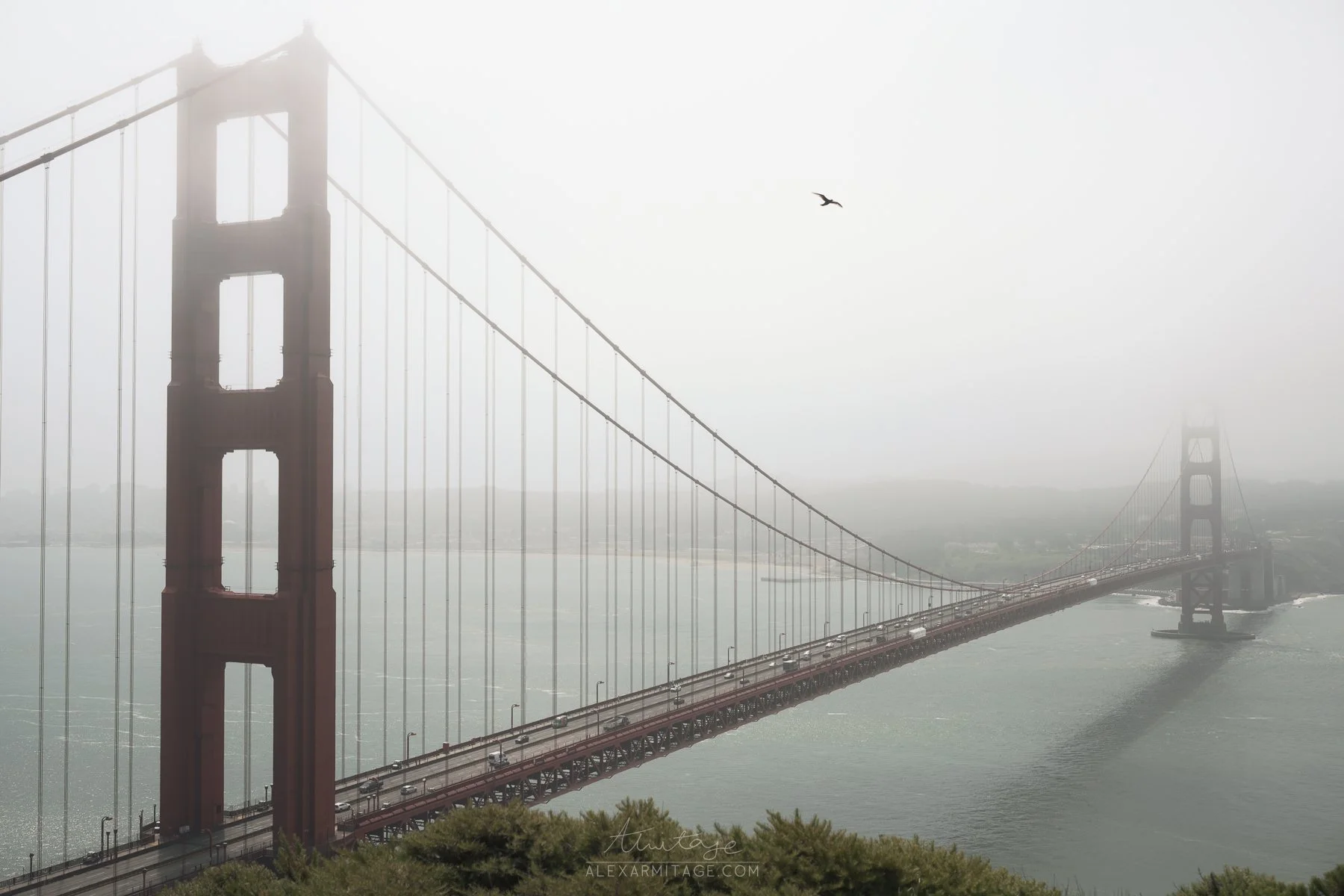 Alex Armitage | Nikon Recipes