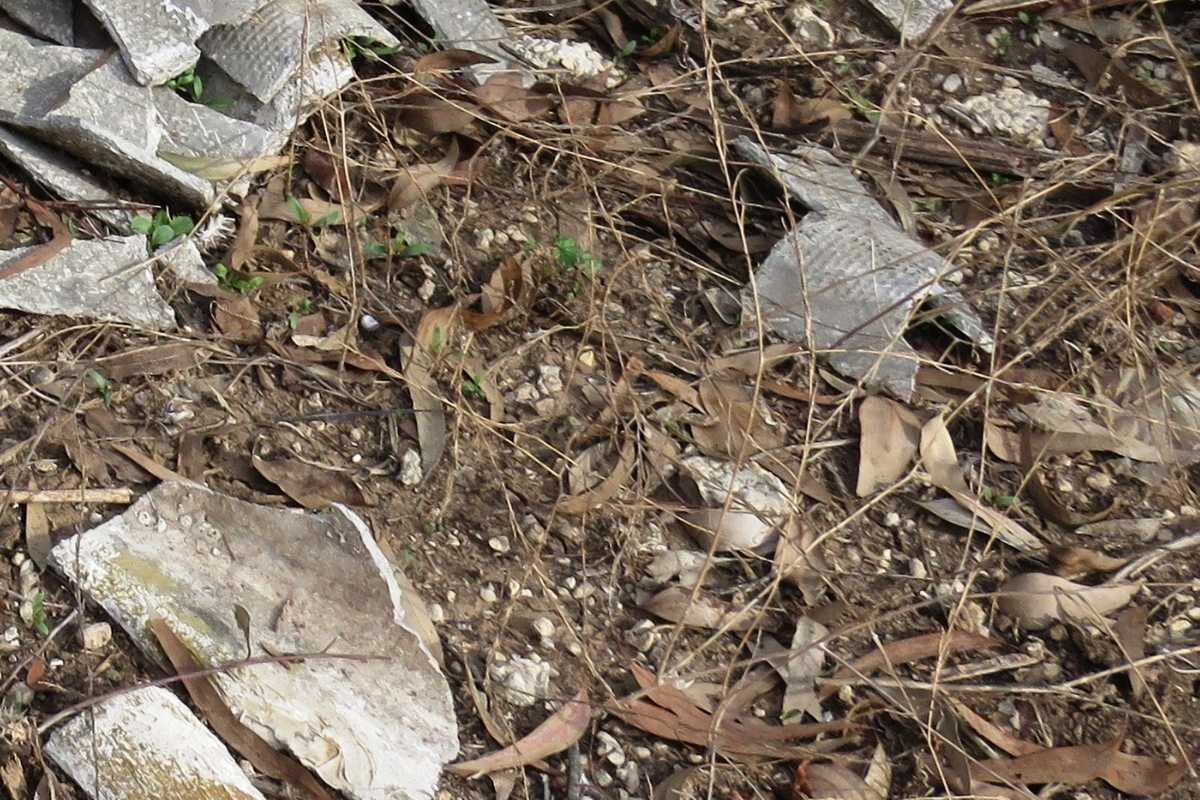 Soil Contamination and Asbestos | Chemcare