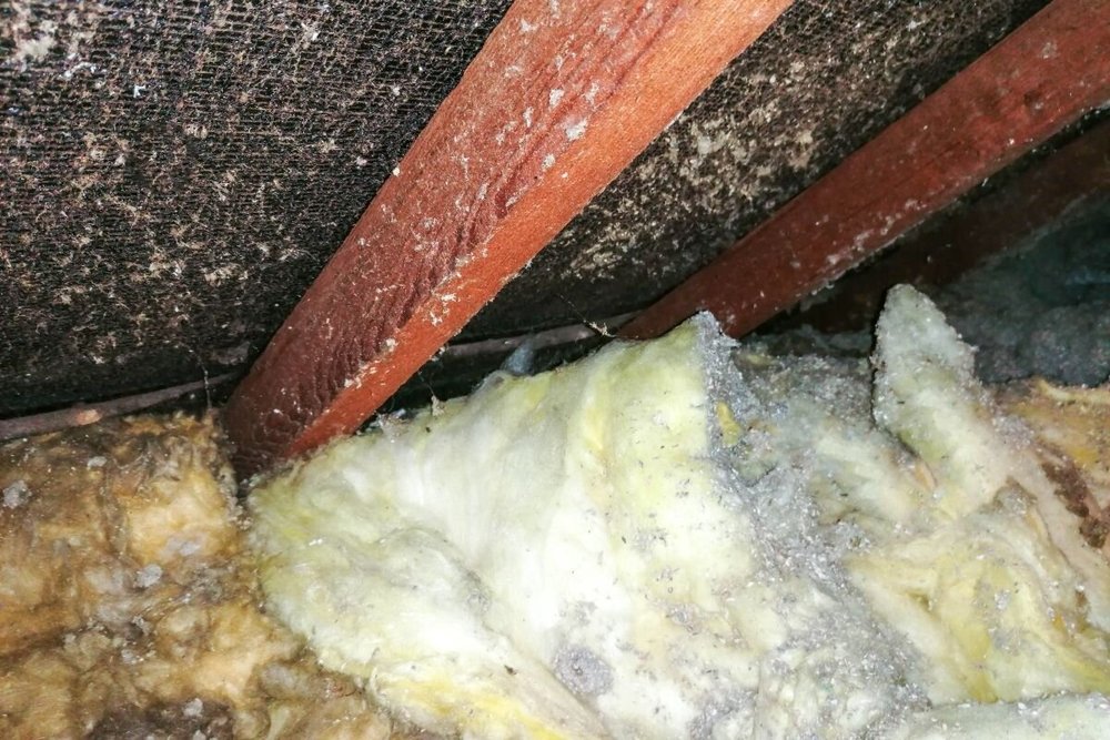 What Does Loose Fill Asbestos Look Like? | Chemcare