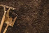 The Dangers of Asbestos in Mulch | Chemcare