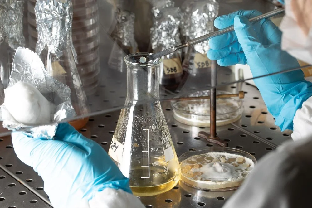 From Contamination to Clean: Navigating Meth Lab Cleanups | Chemcare