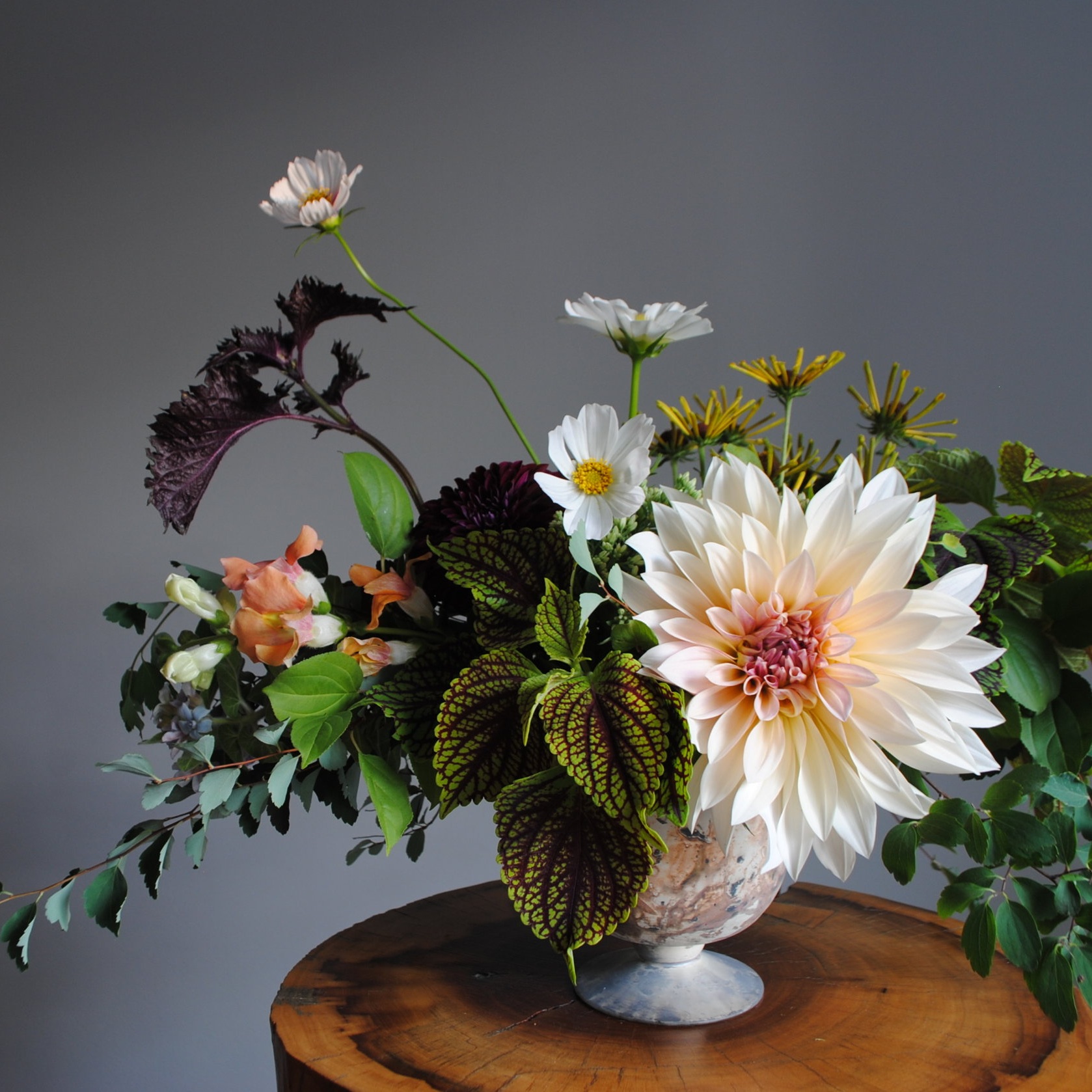 Flowers for Everyone — Marilla Field & Flora