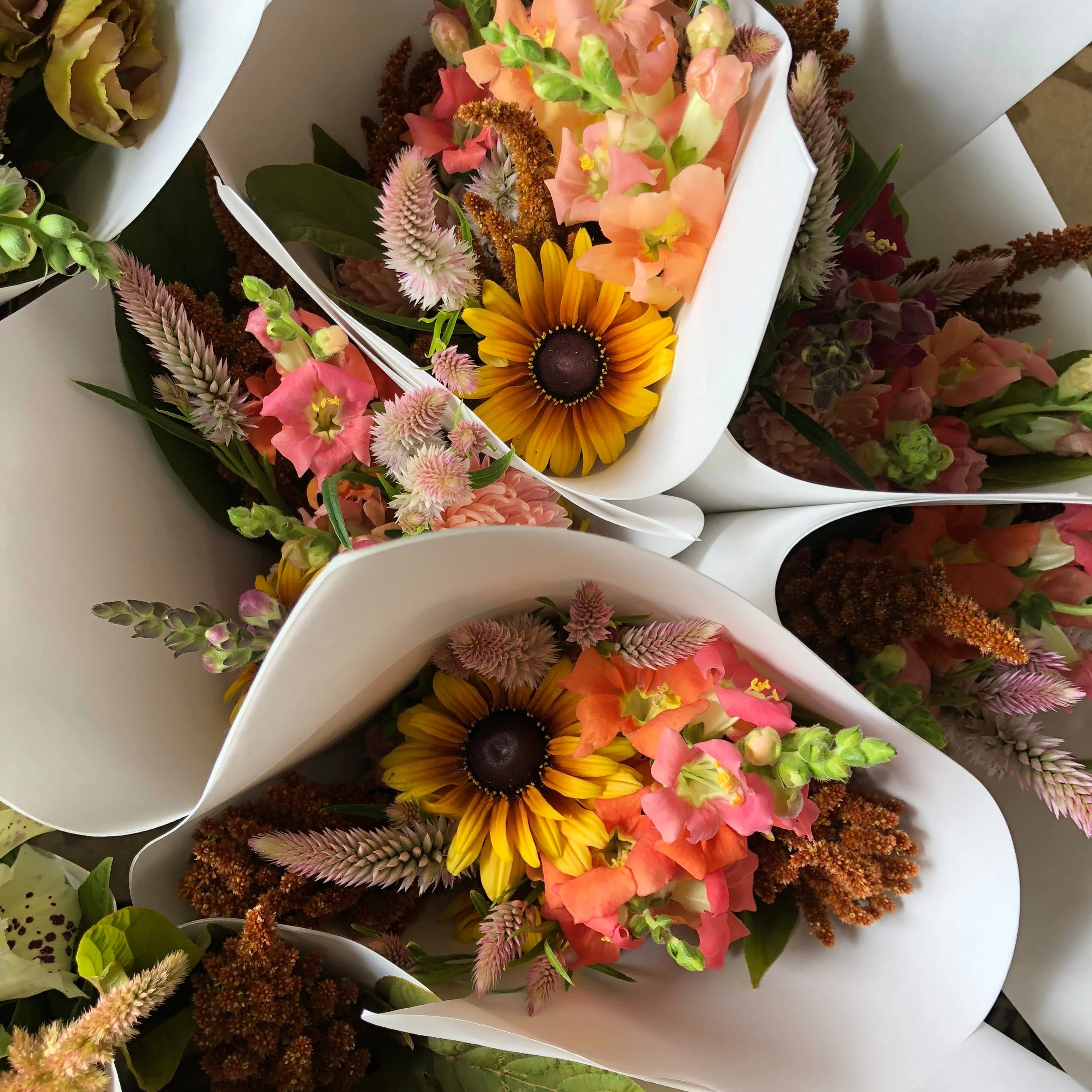 Flowers for Everyone — Marilla Field & Flora