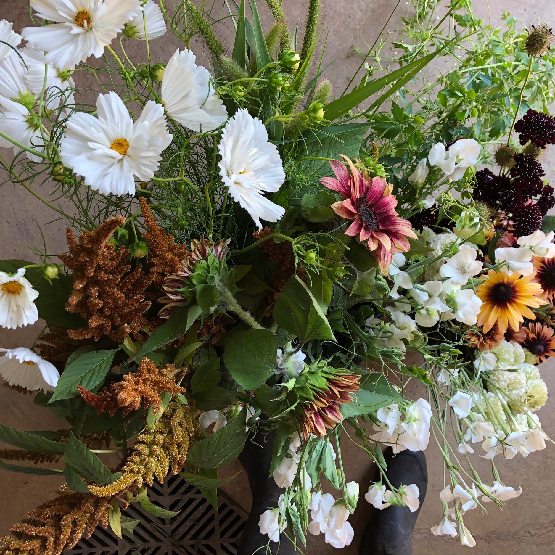 Weddings & Events — Marilla Field & Flora