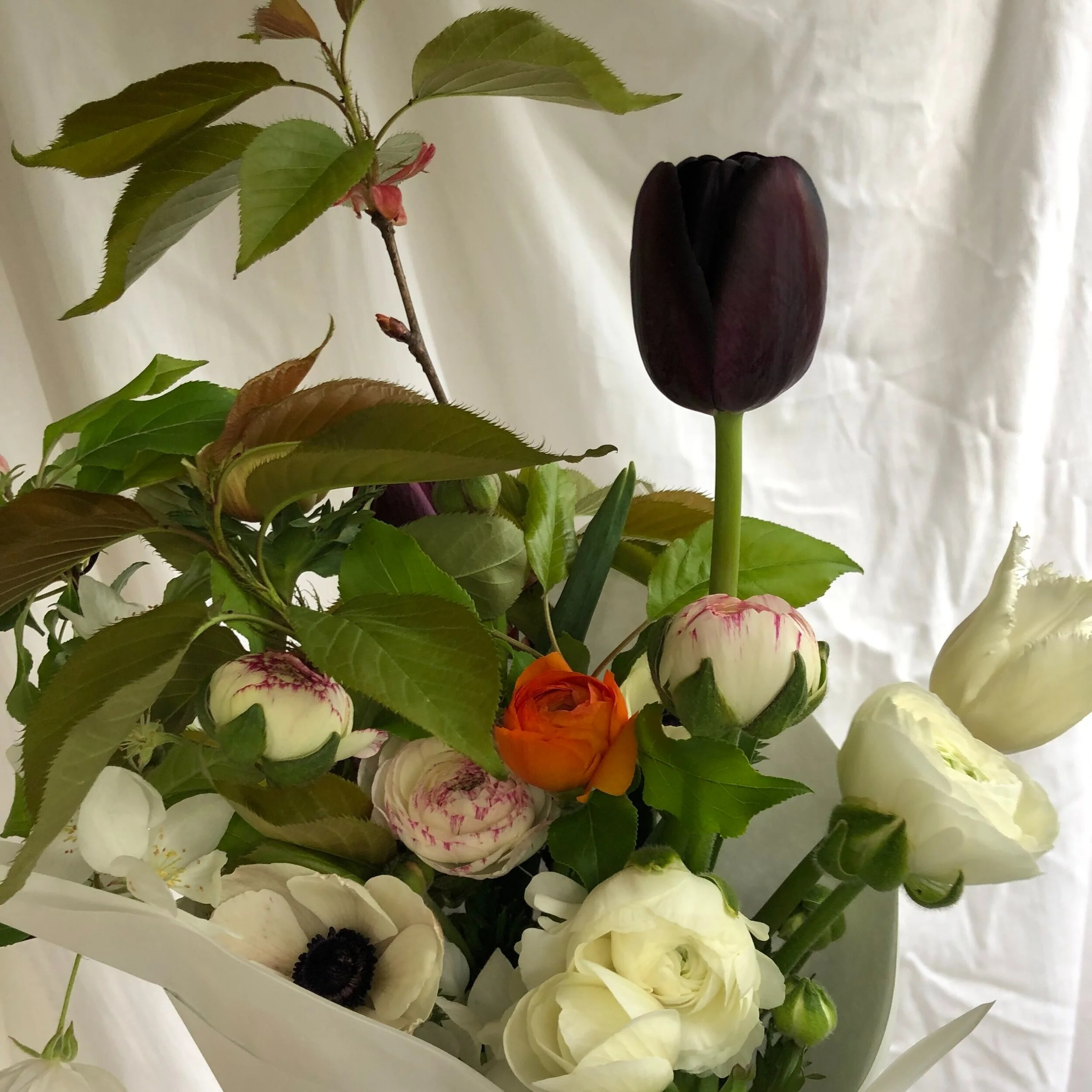 Flowers for Everyone — Marilla Field & Flora