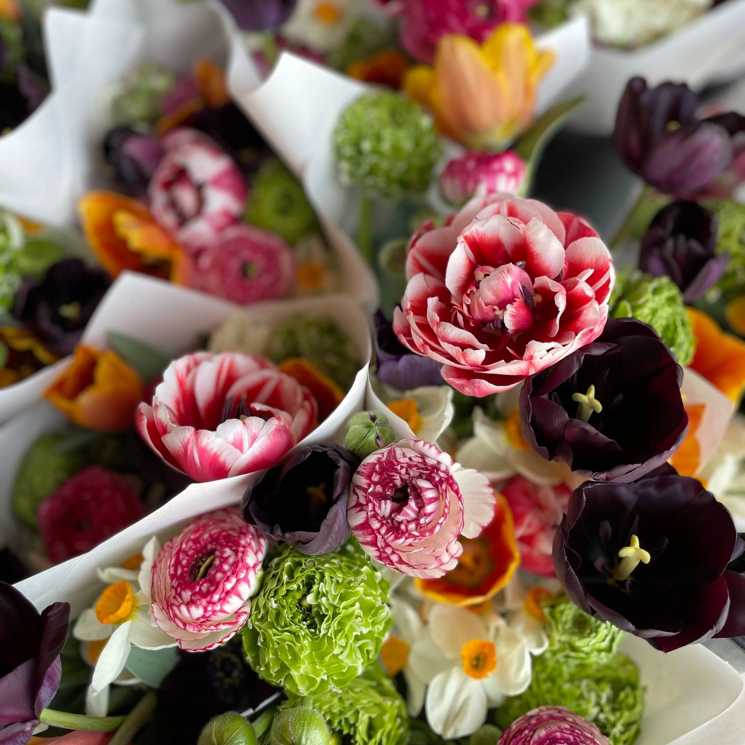 Shop — Marilla Field & Flora