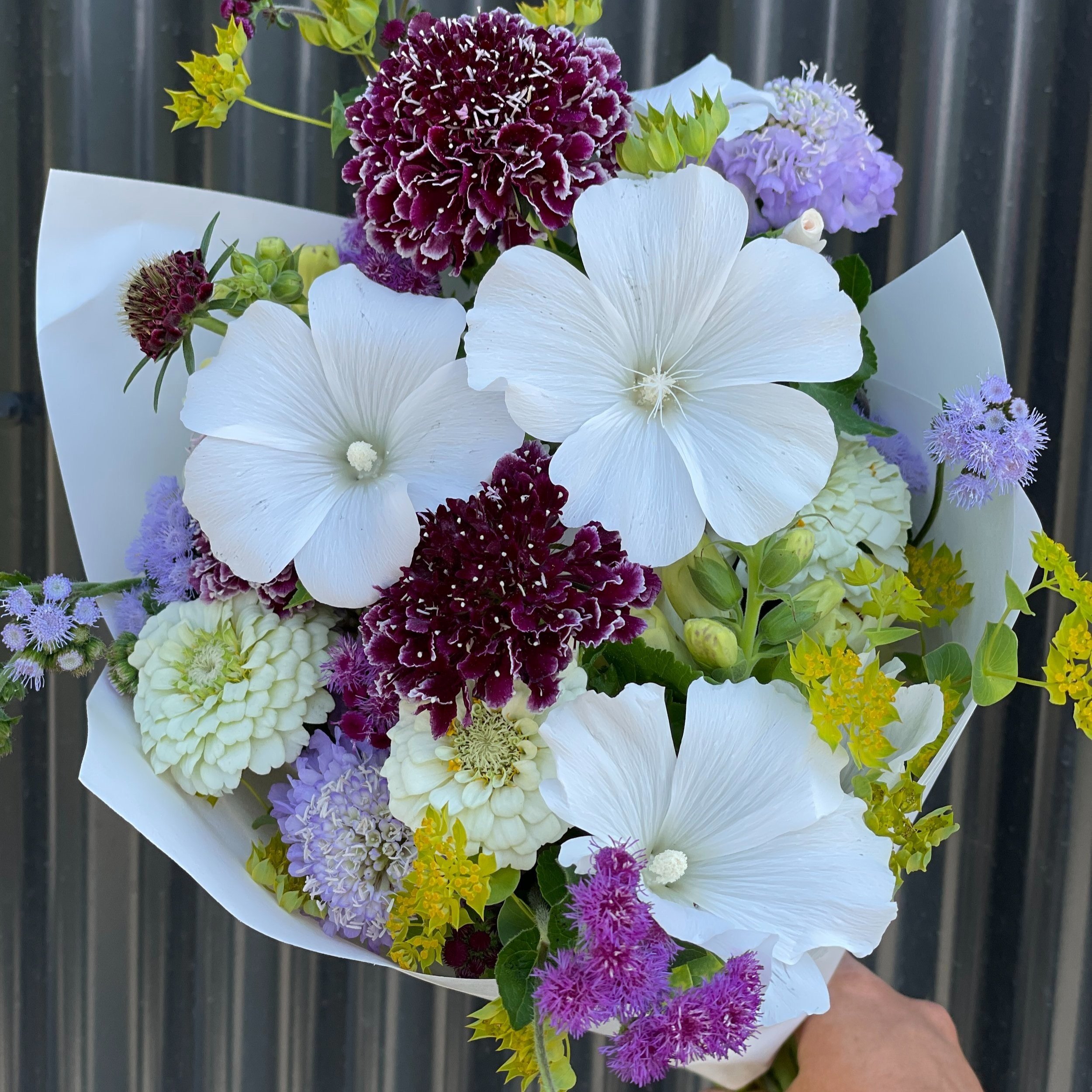 Shop — Marilla Field & Flora