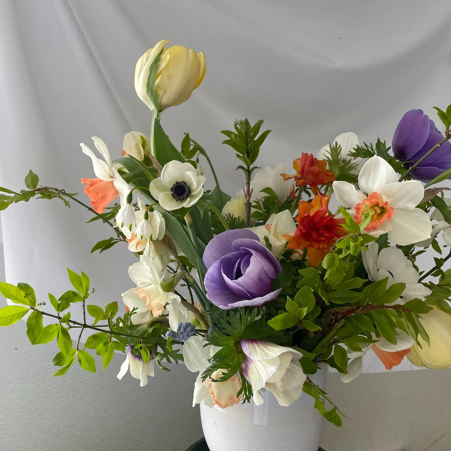 Shop — Marilla Field & Flora