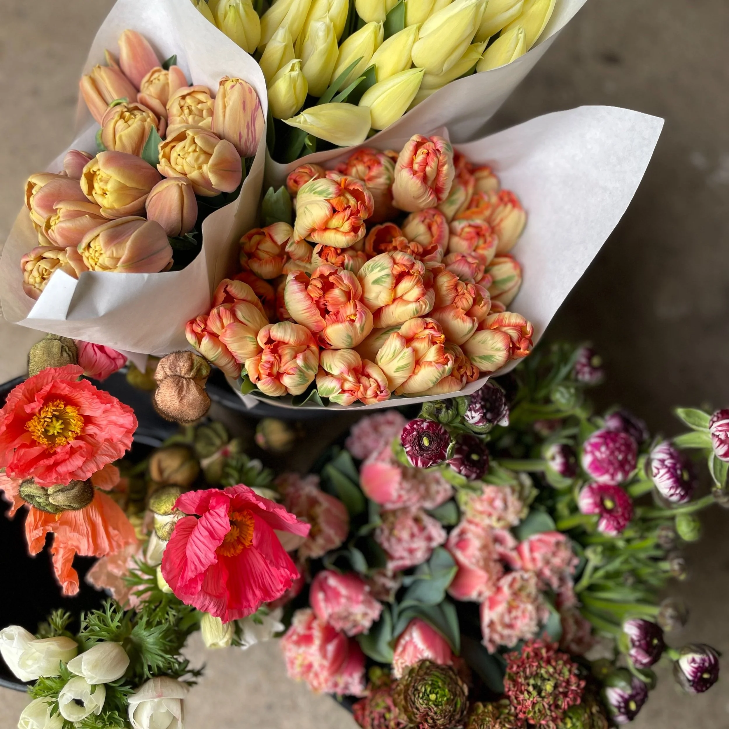 Shop — Marilla Field & Flora