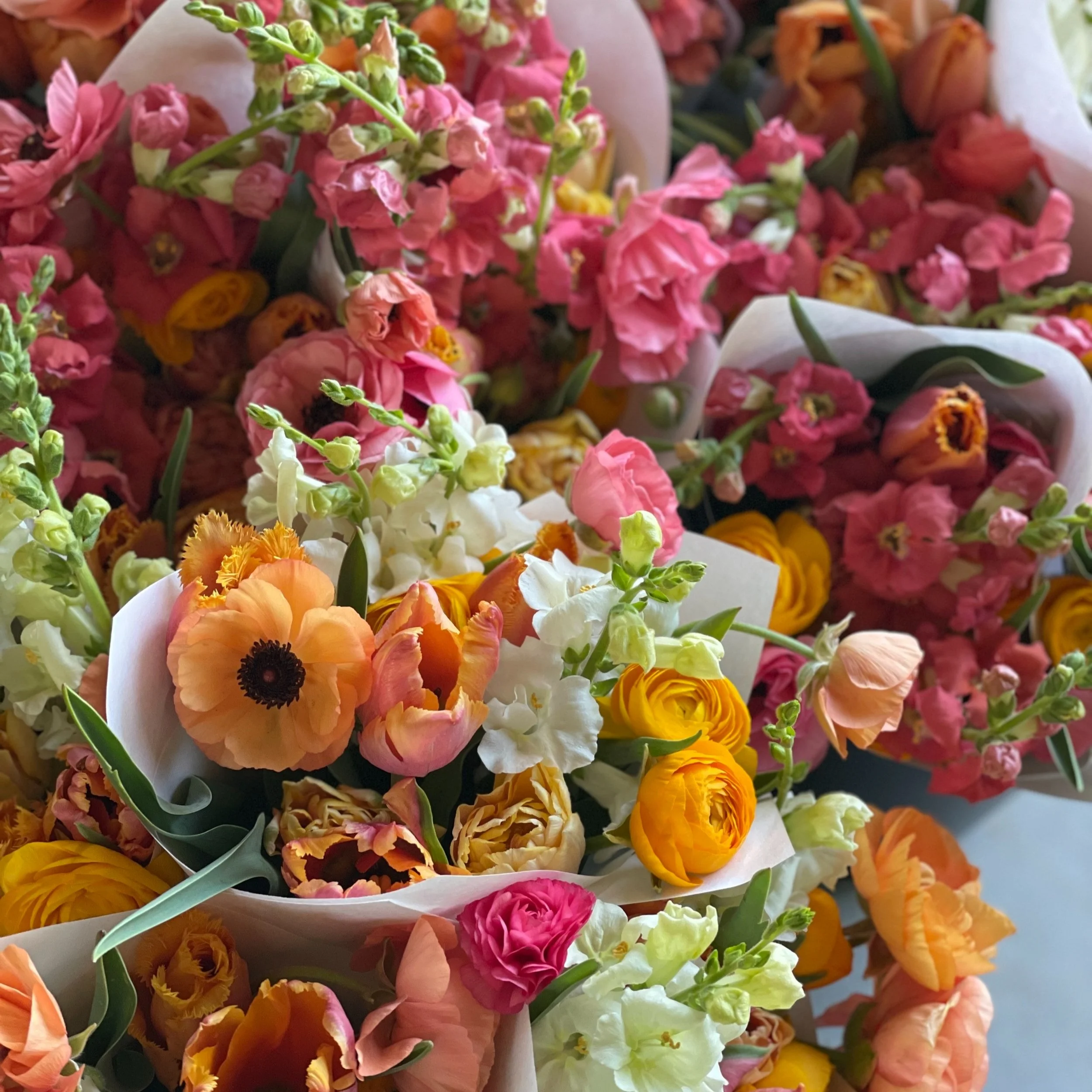 Shop — Marilla Field & Flora