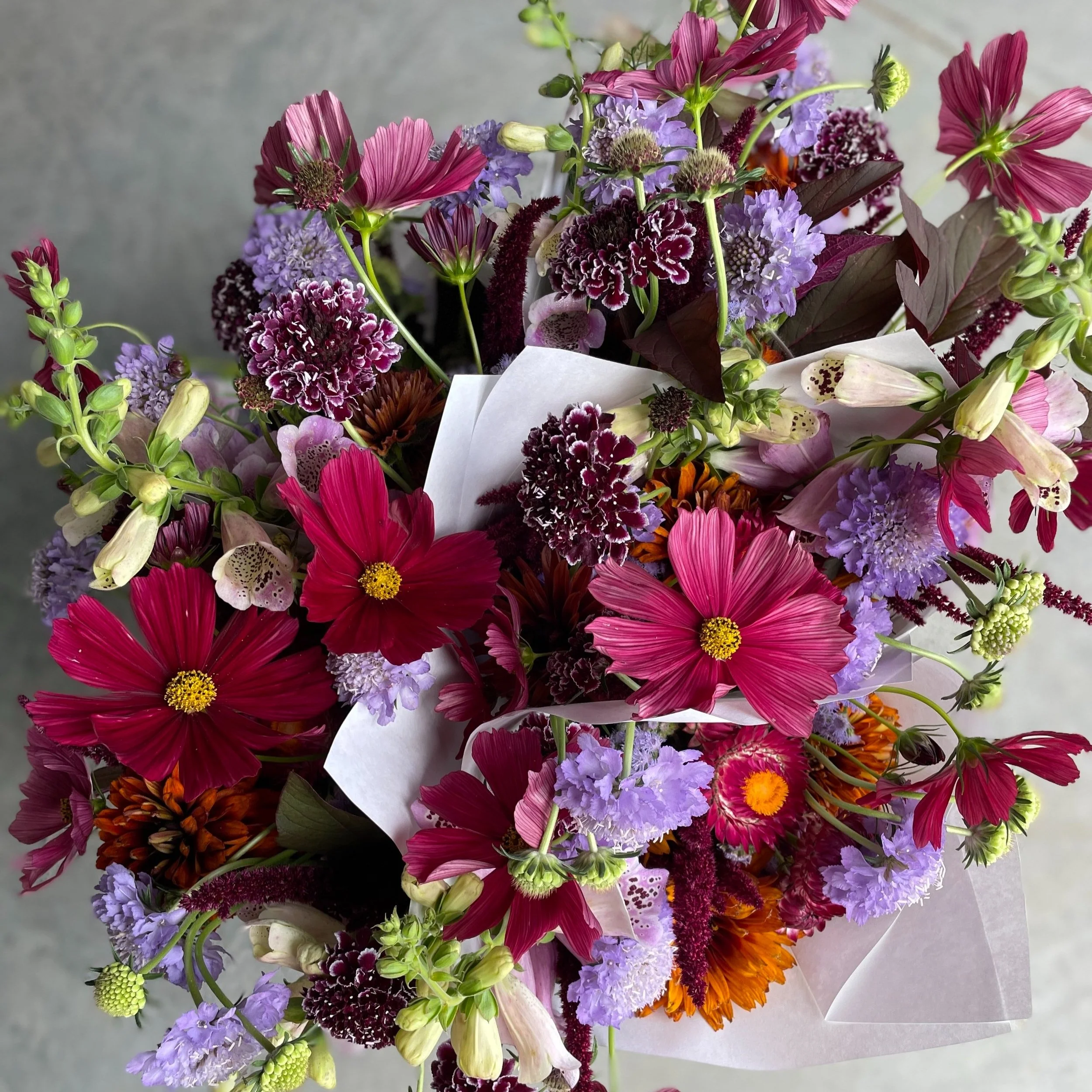 Shop — Marilla Field & Flora