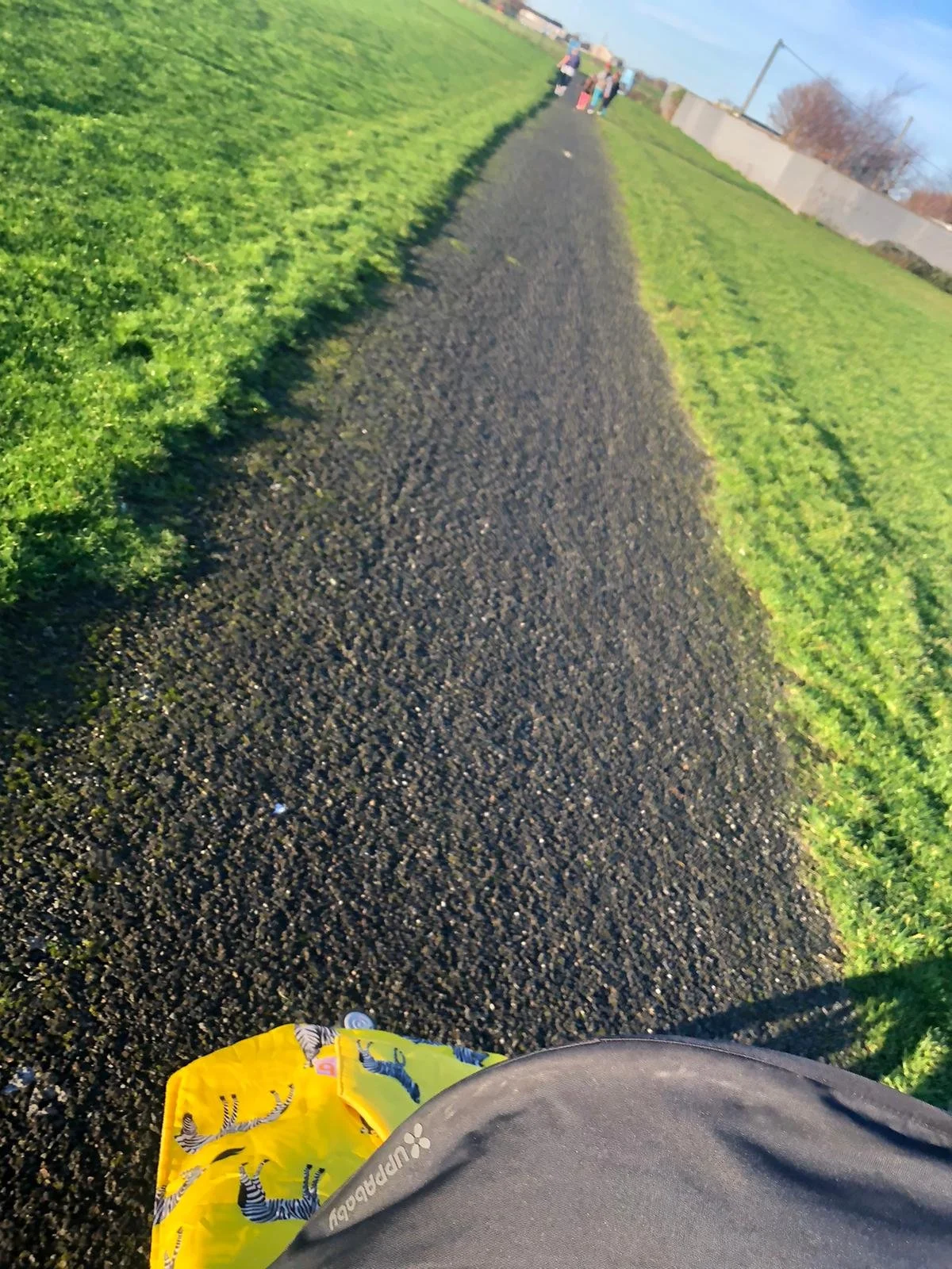 Darndale parkrun — Cróga Coaching