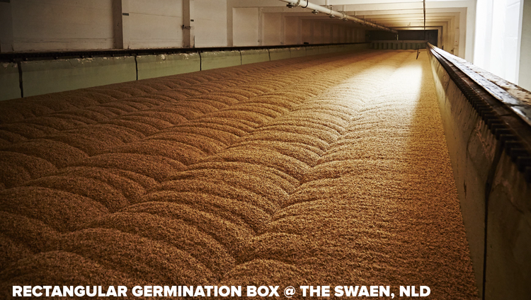 ConEspuma | El Viaje de la Malta: Historia y Evolución del Malteado