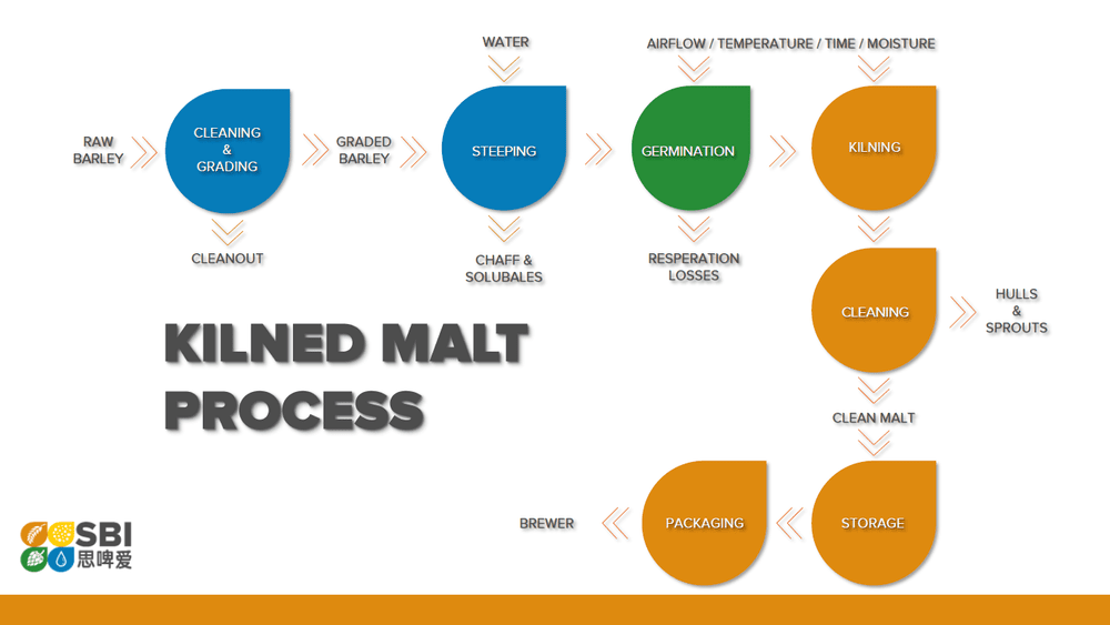 ConEspuma | El Viaje de la Malta: Historia y Evolución del Malteado