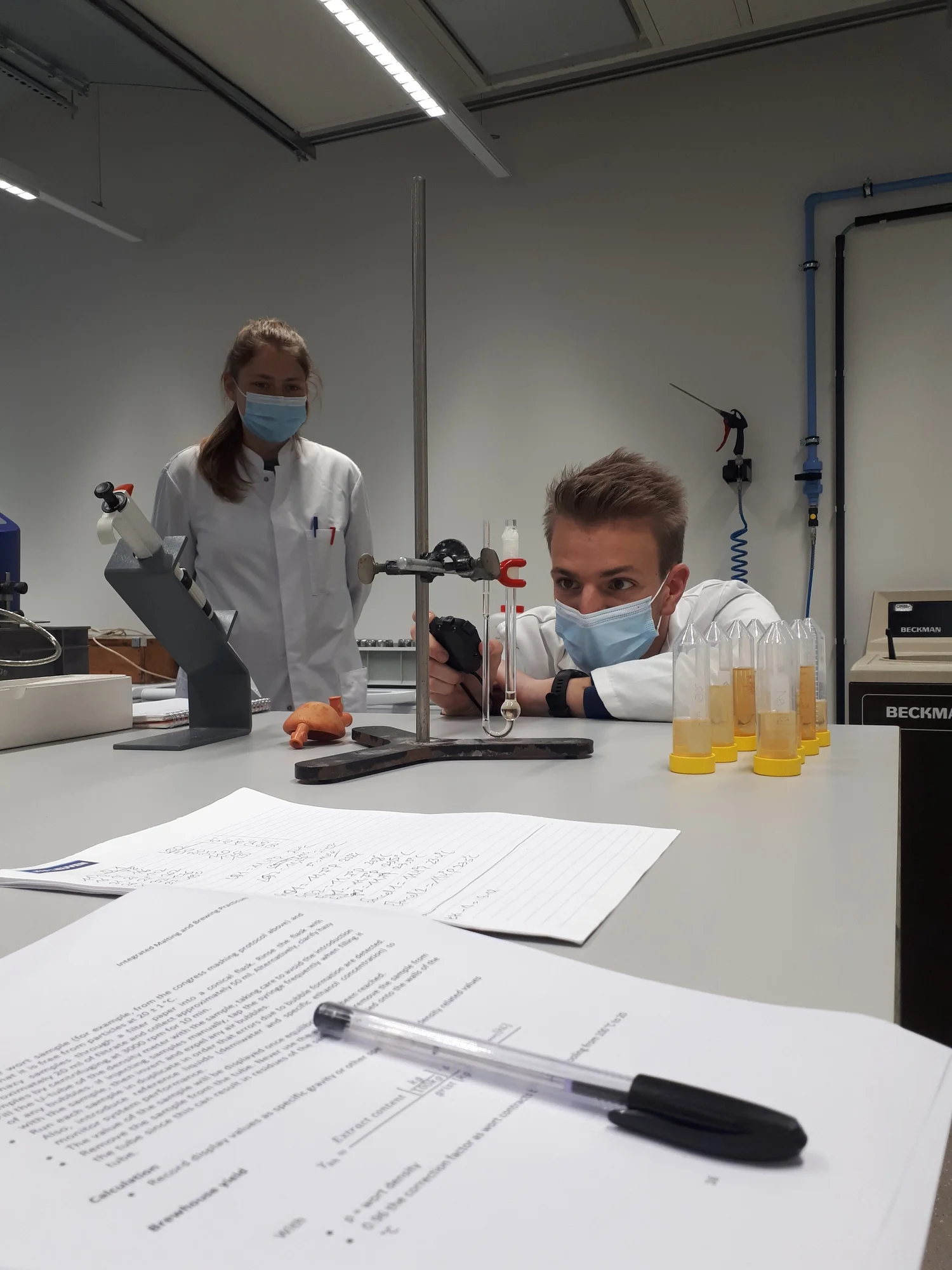 ConEspuma | Experimento de Malteado