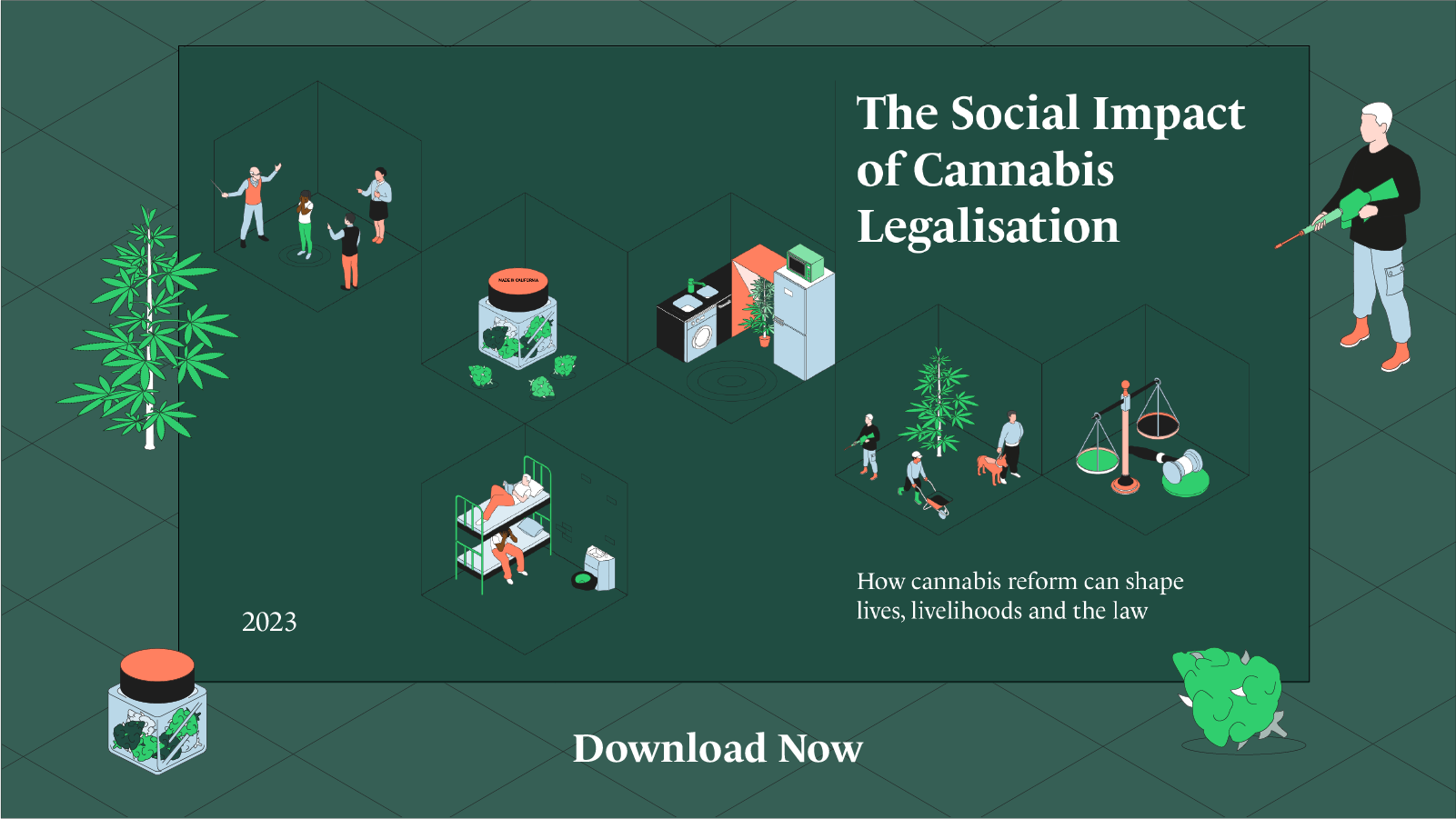 Report Launch: The Social Impact of Cannabis Legalisation — The Hanway ...
