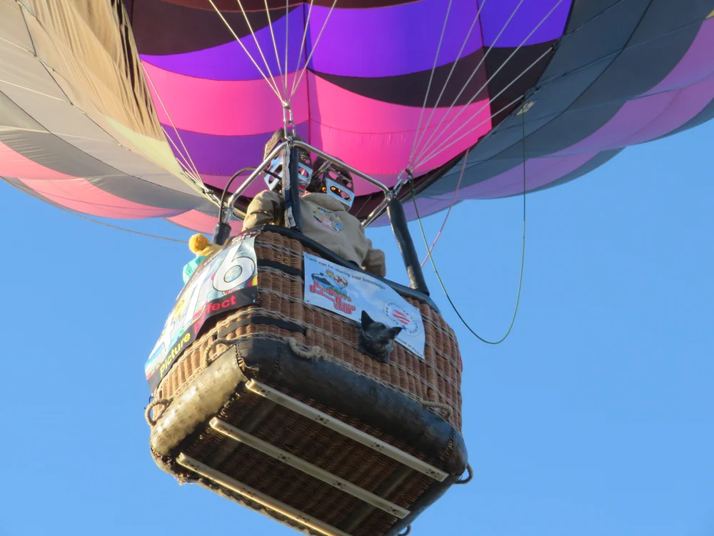 Albuquerque Balloon Fiesta - Special Shapes & More — Just a Little Further