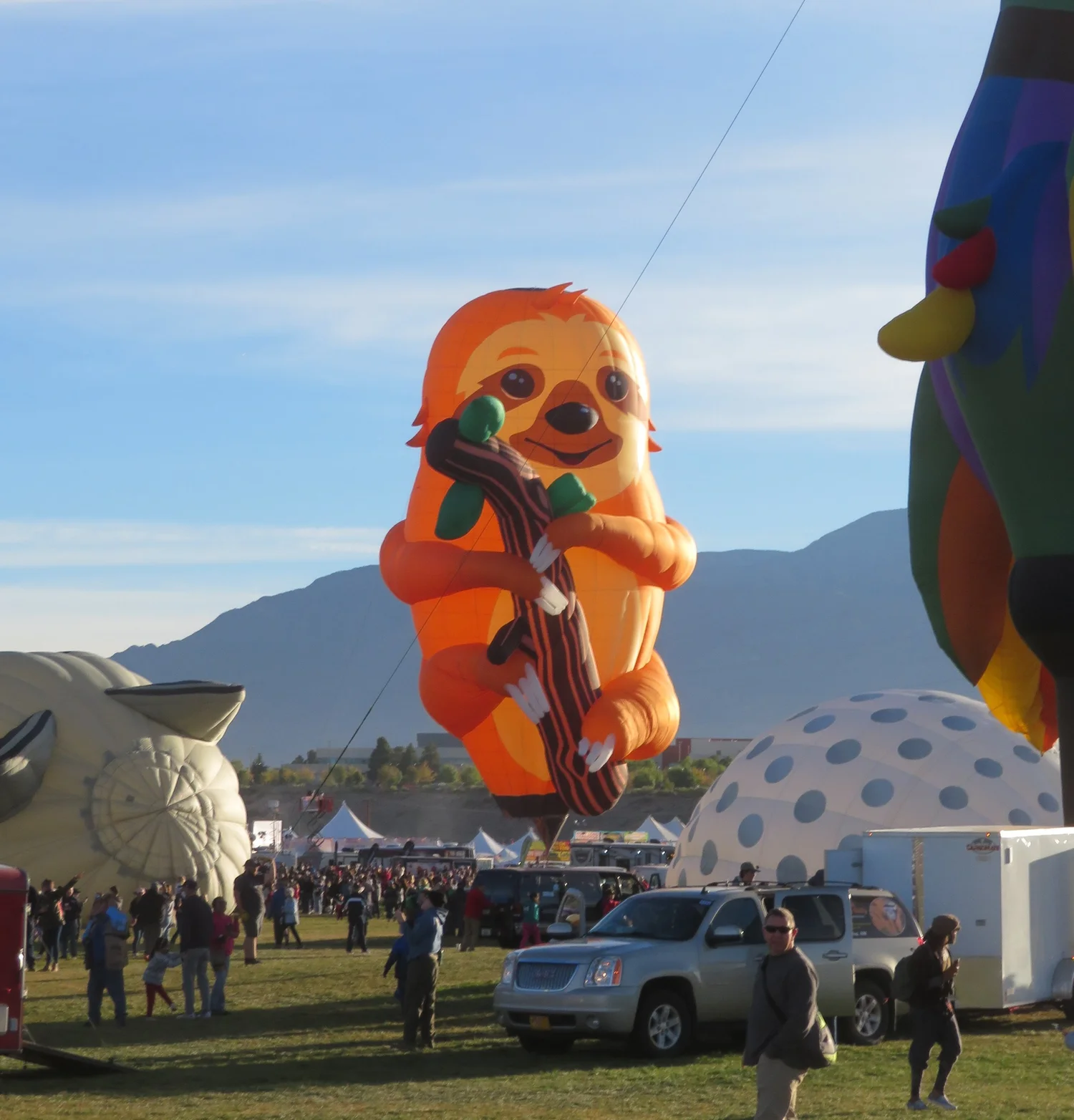 Albuquerque Balloon Fiesta 2021 - Special Shapes Rule! — Just a Little ...