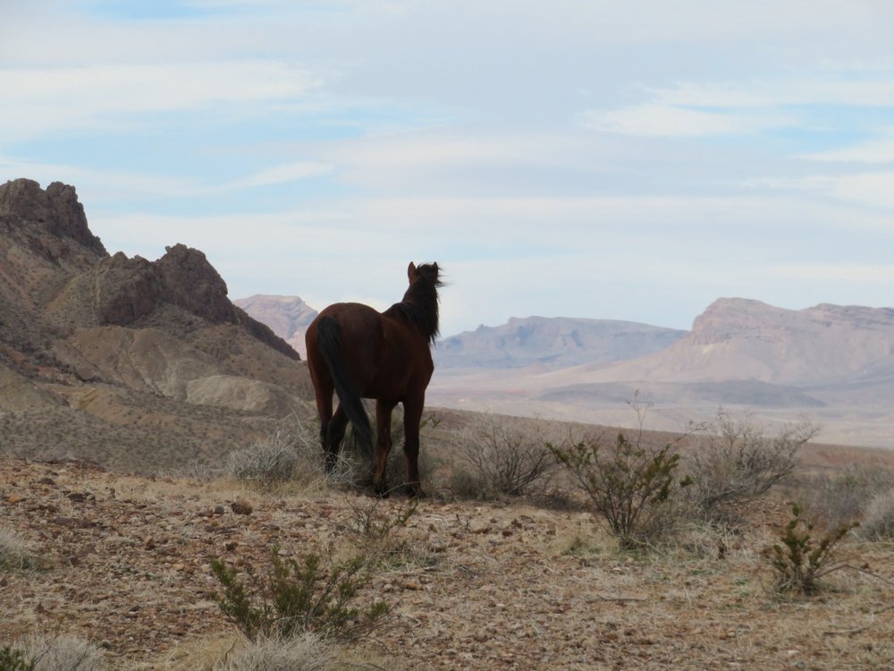 Walking the Old Arrowhead Trail — Just a Little Further