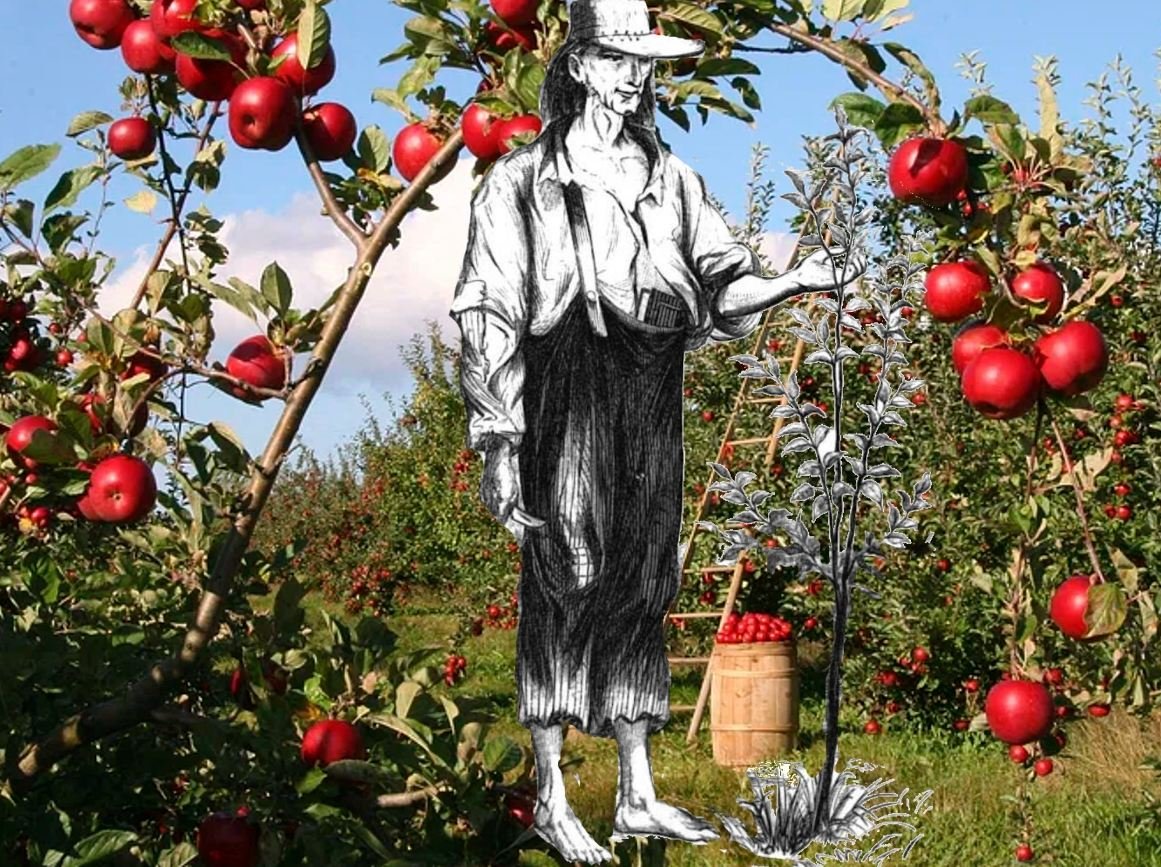 Celebrating an American Folk Hero - Johnny Appleseed — Just a Little ...