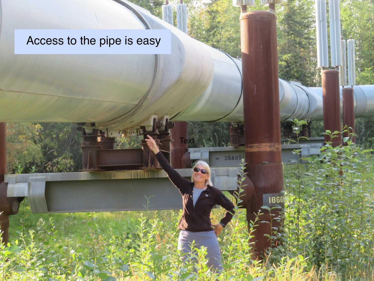 Blue View - The Alaska Pipeline — Just a Little Further