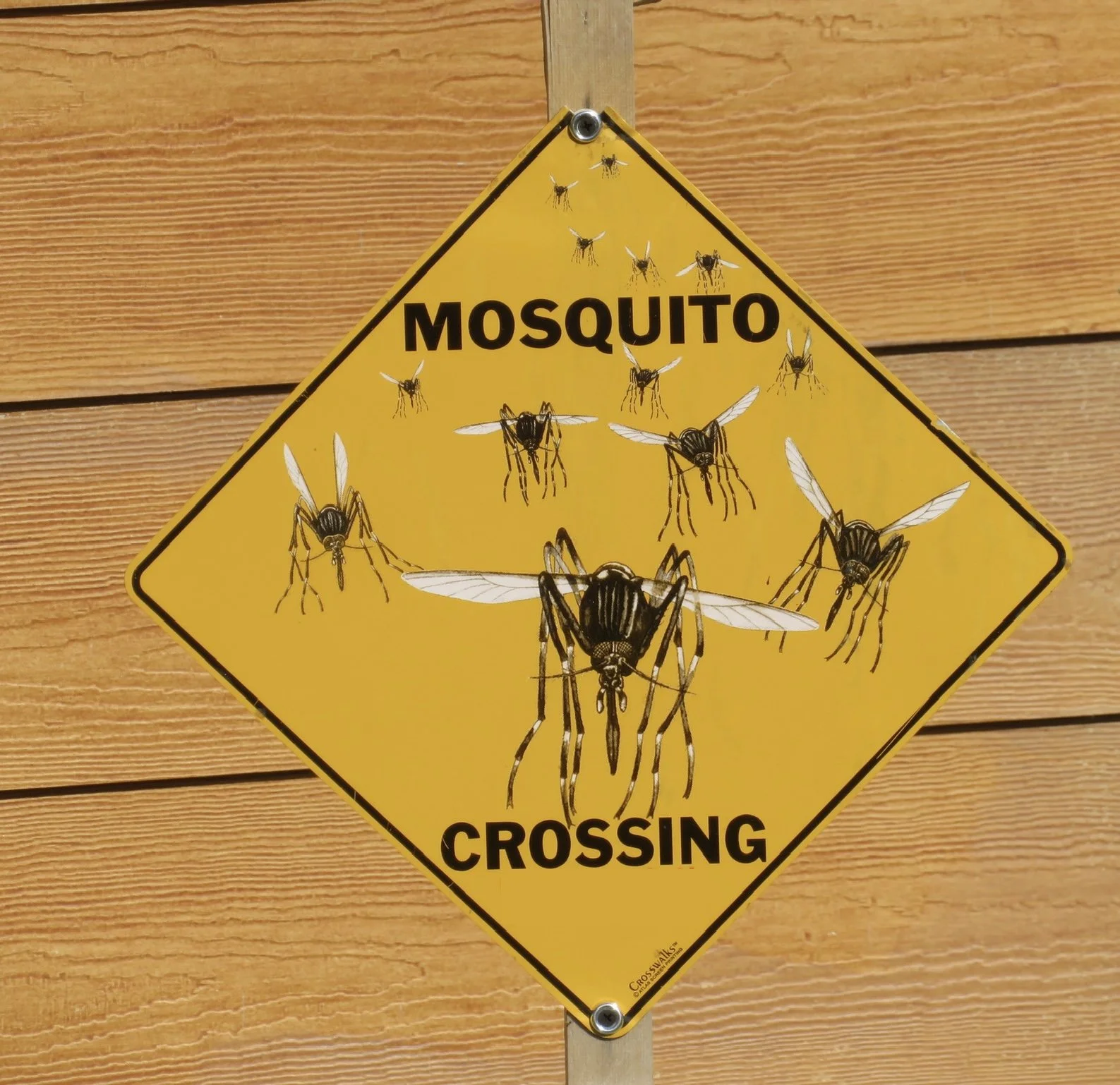 Mosquitoes - Alaska’s State Bird — Just a Little Further