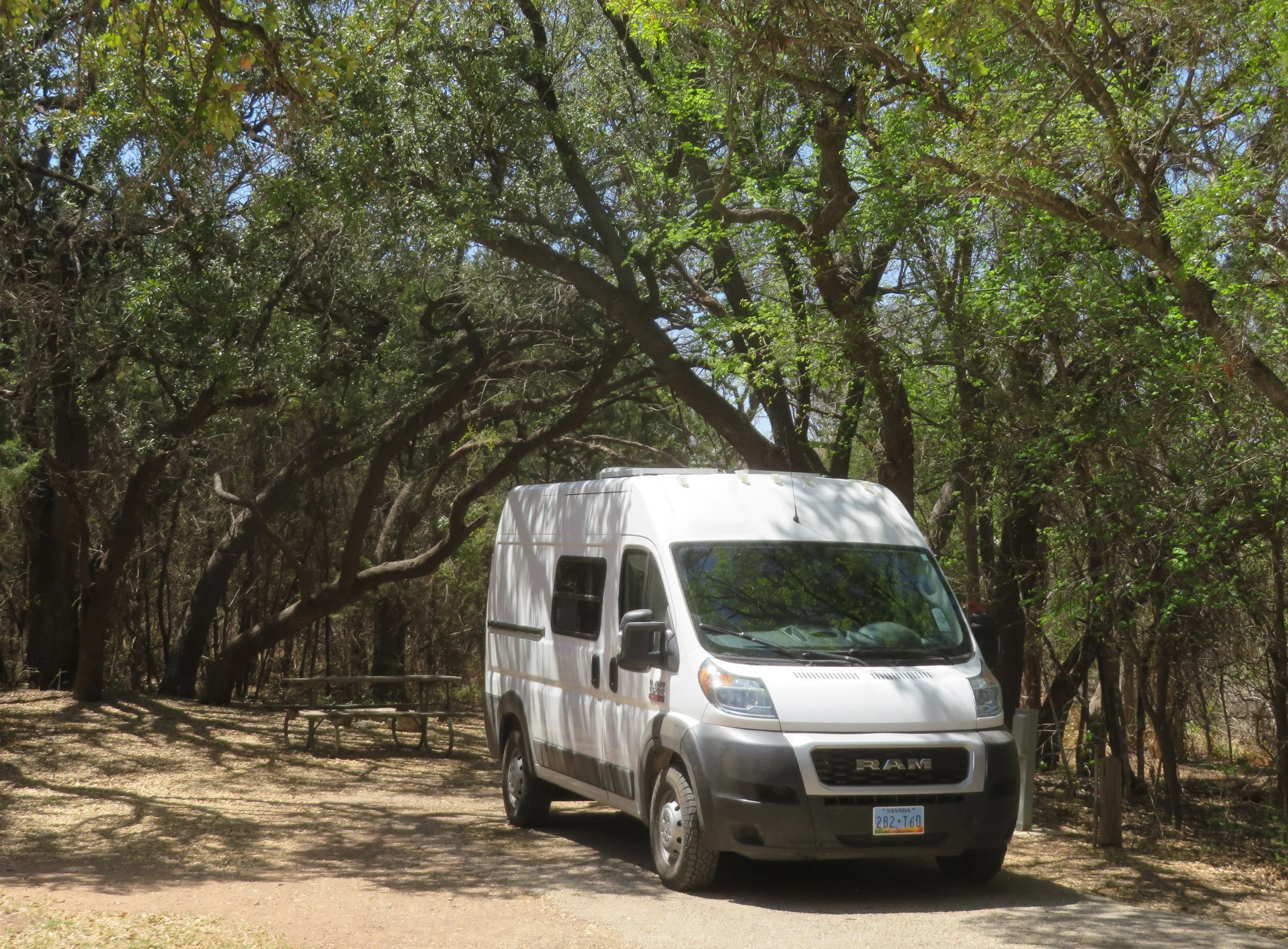 Abilene Texas – A Love-Crazed Cardinal and the Storybook Capital of ...