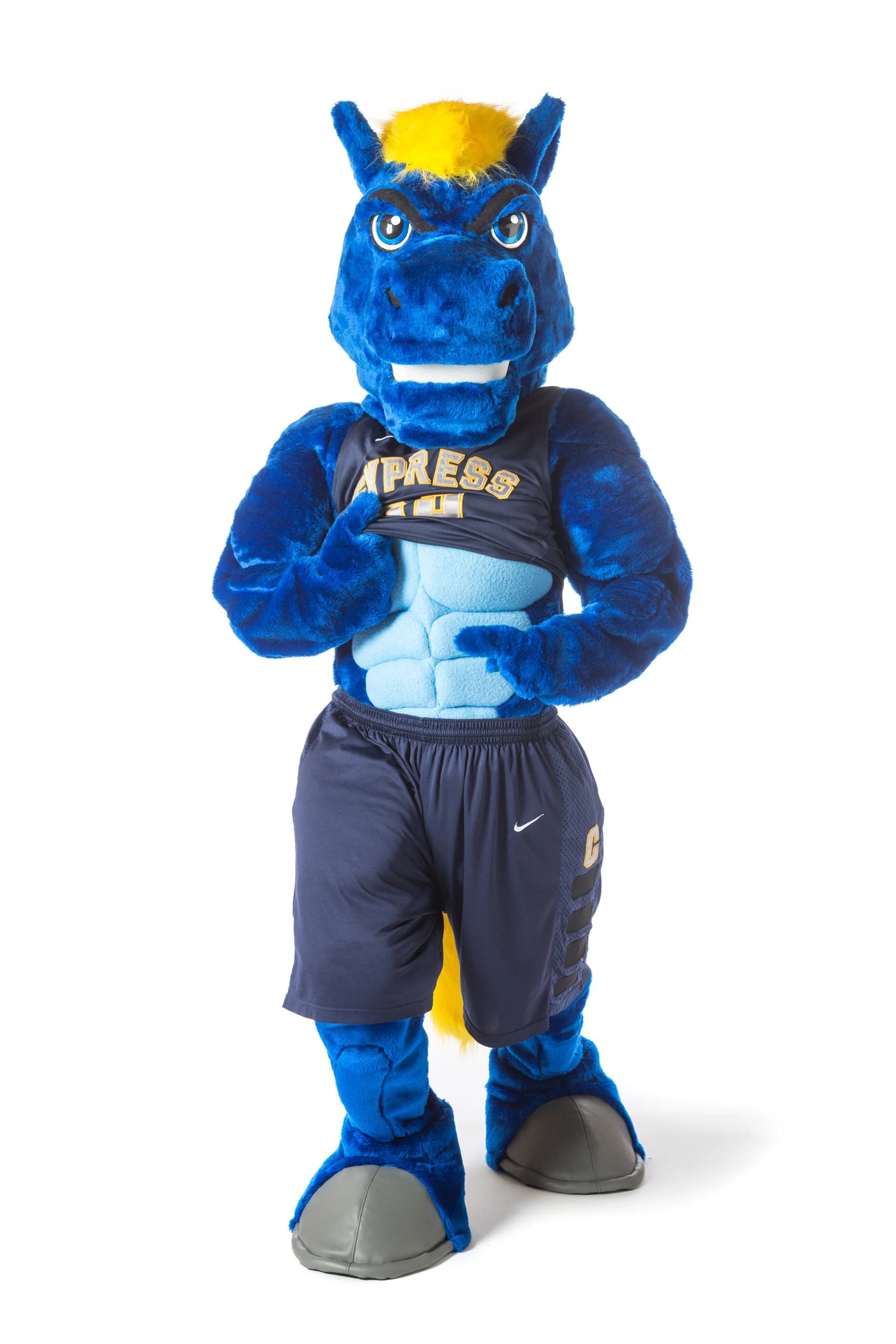 Chargers | The Mascot Company