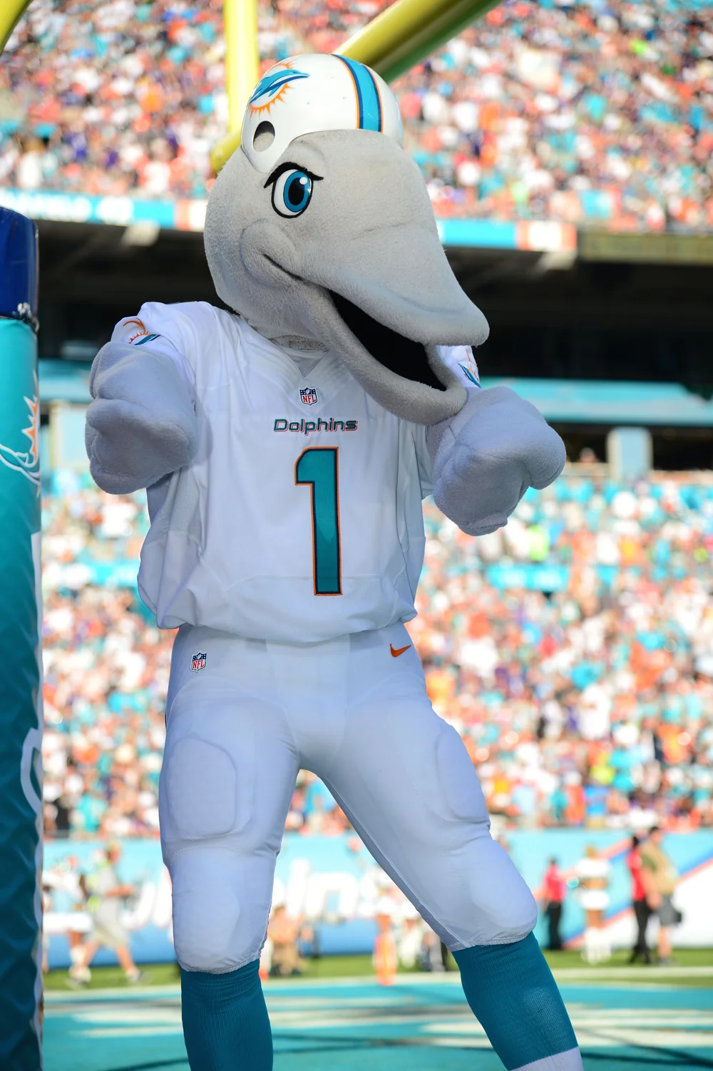 Dolphins Mascot 2022