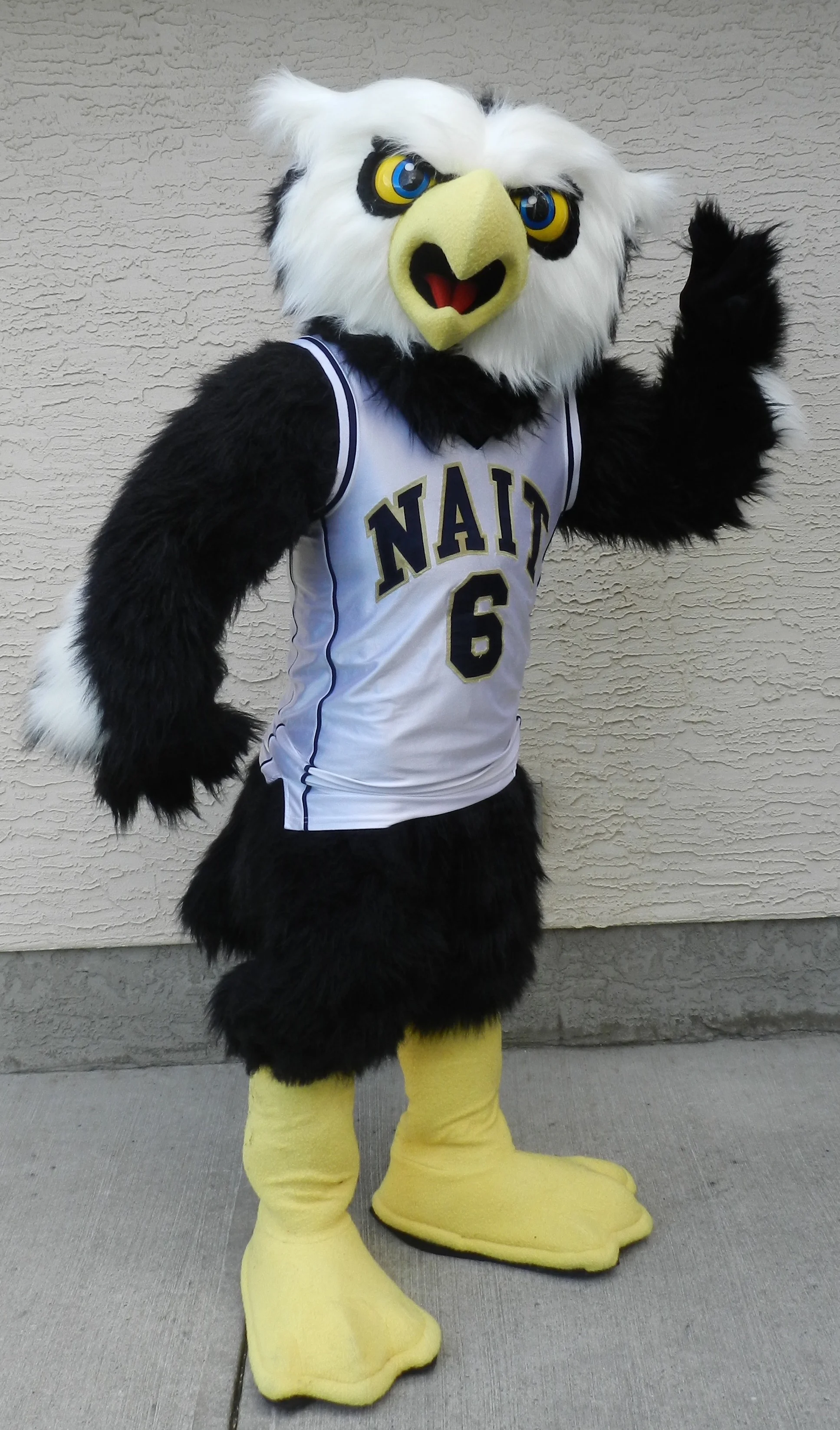 Ook | The Mascot Company