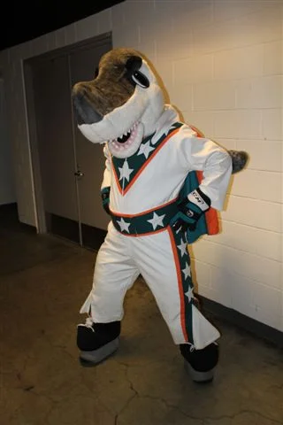 Sharkie The Mascot Company