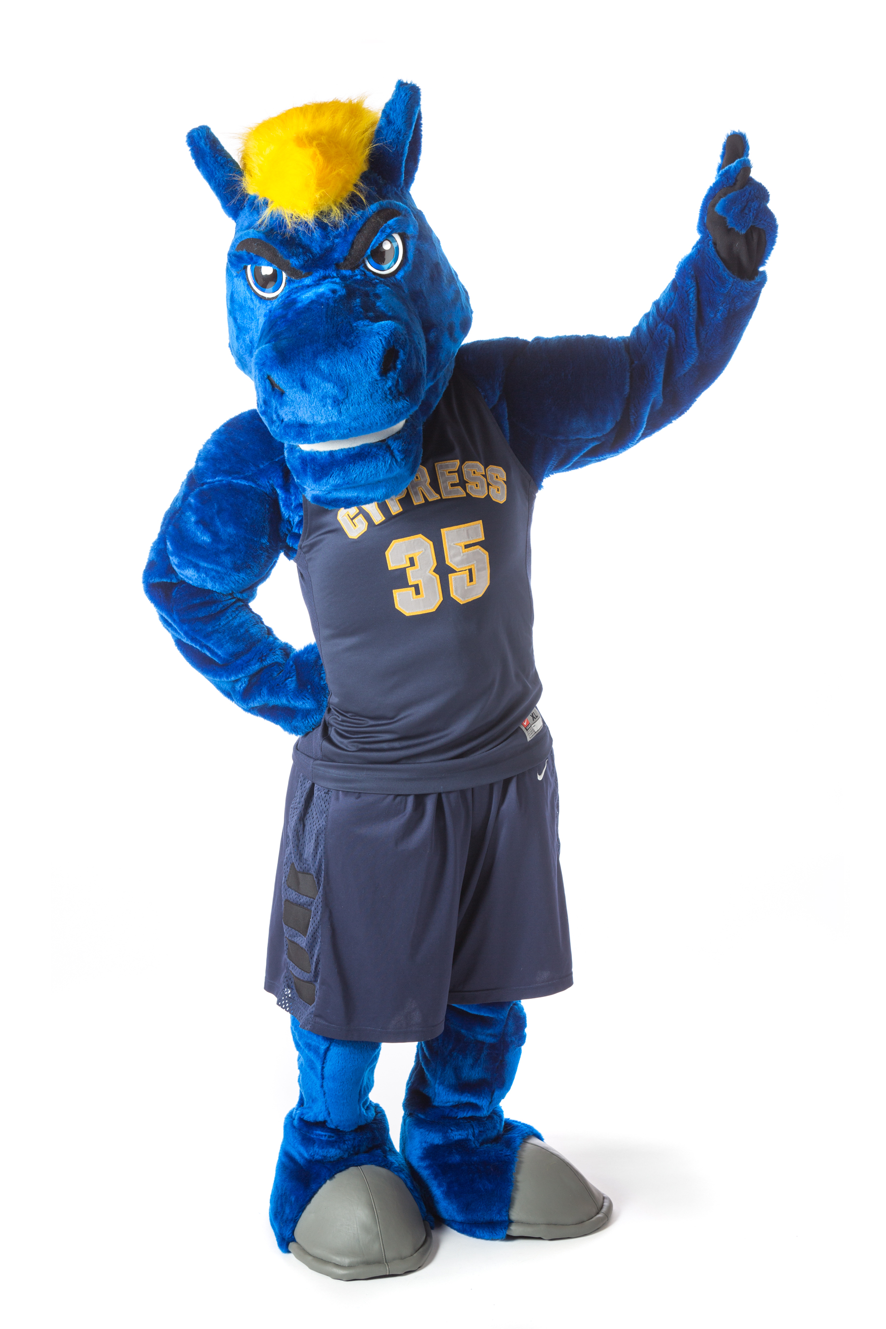 Chargers | The Mascot Company