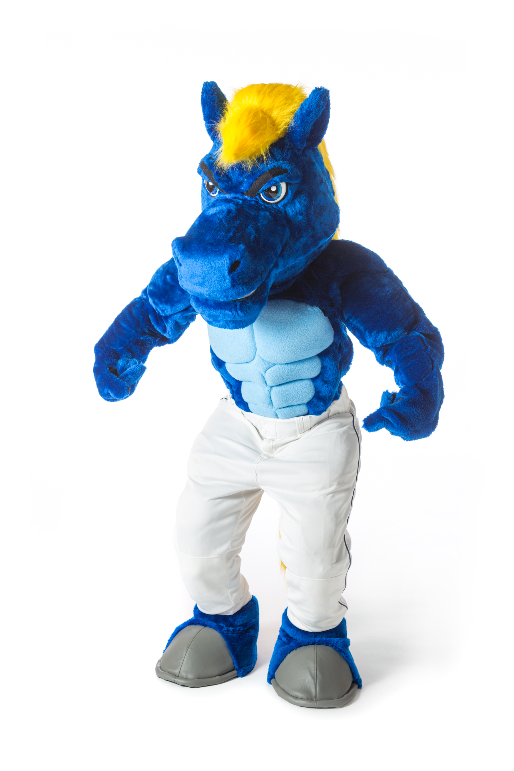 Chargers | The Mascot Company