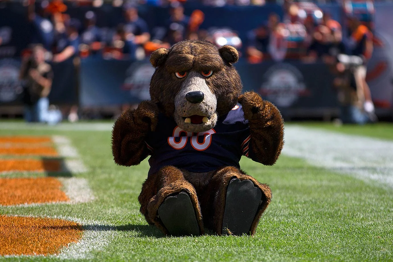 Chicago Bears REV | The Mascot Company