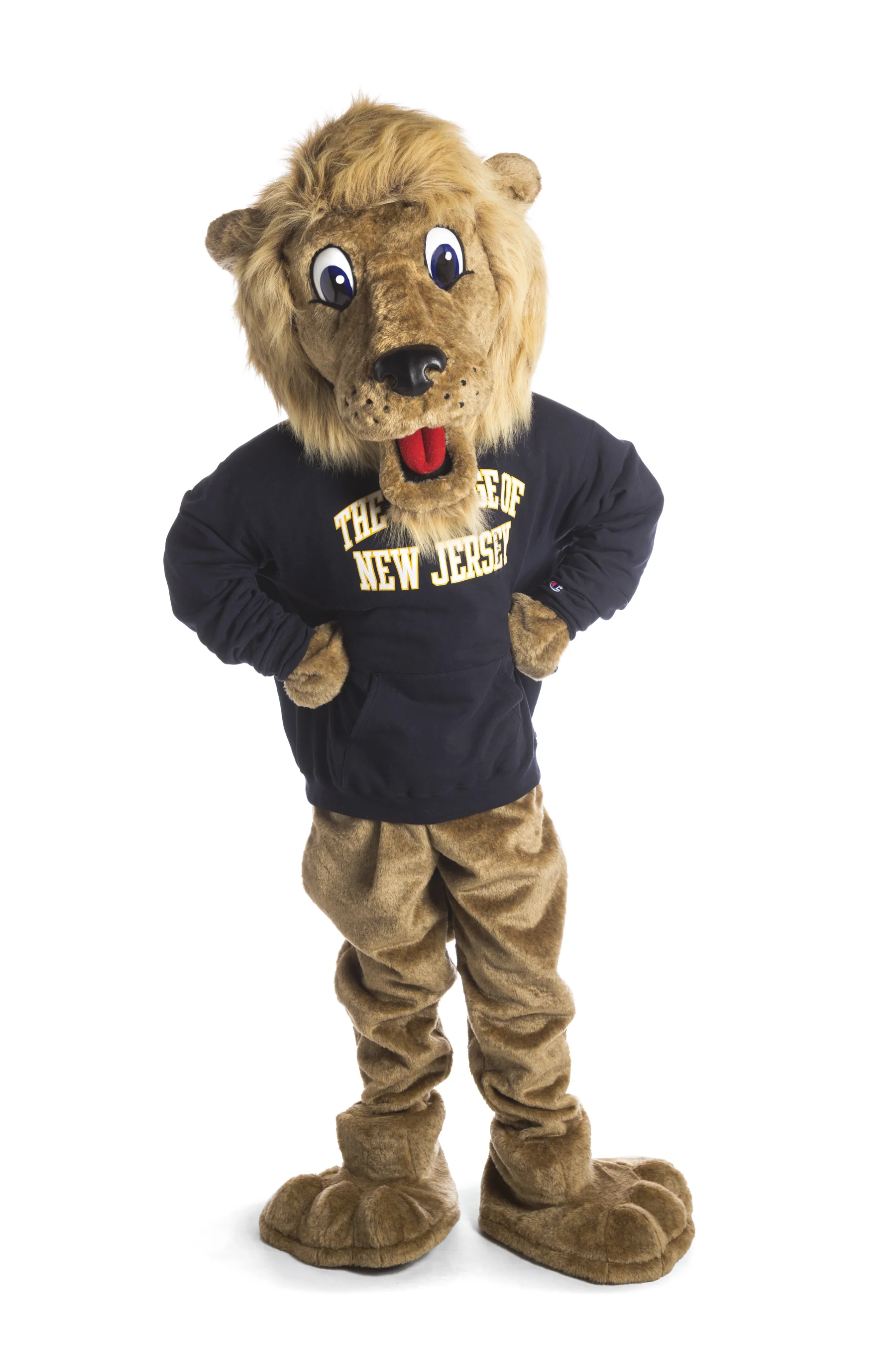 The College of New Jersey | The Mascot Company