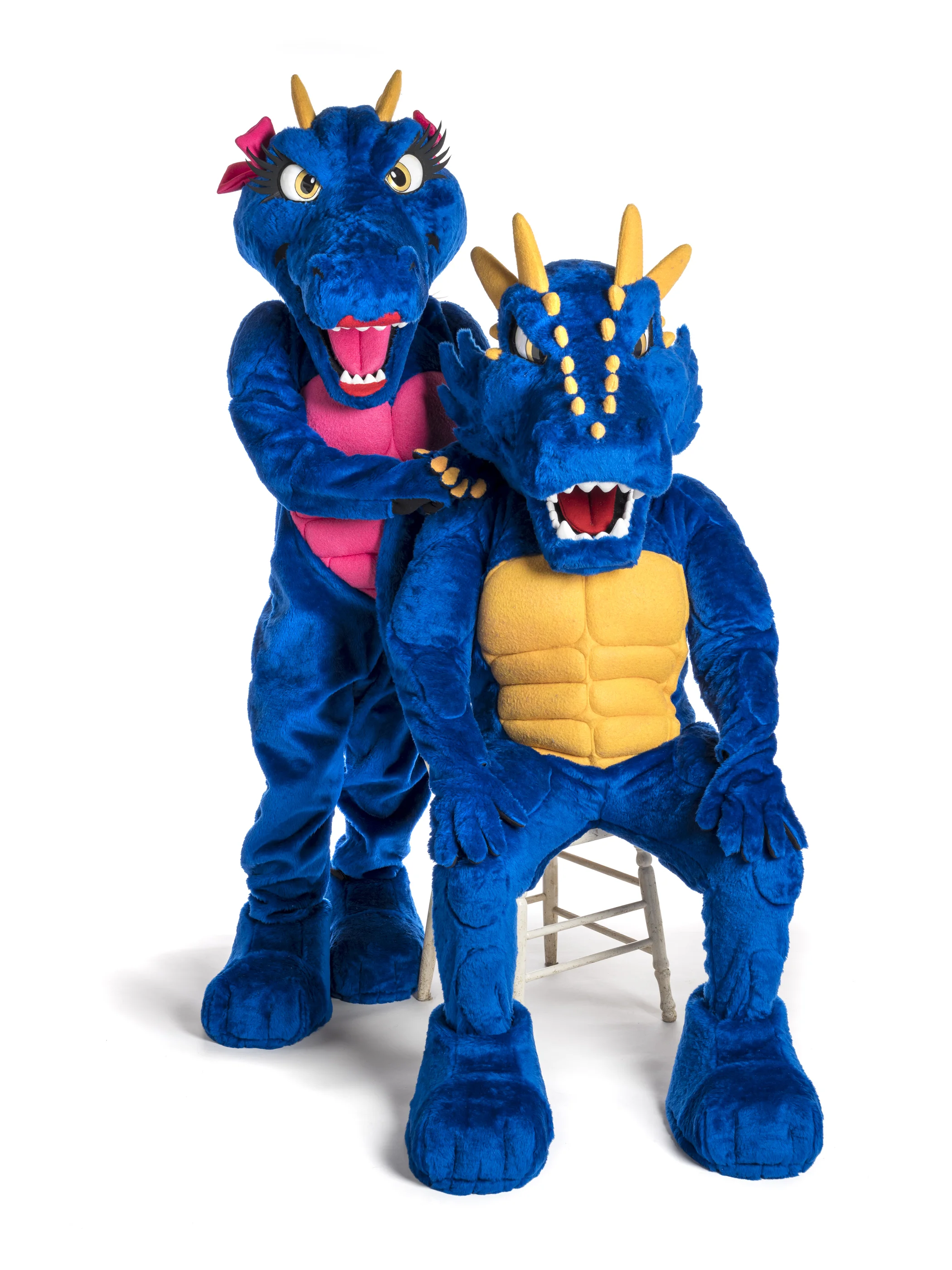 Ron Clark Academy Dragons | The Mascot Company