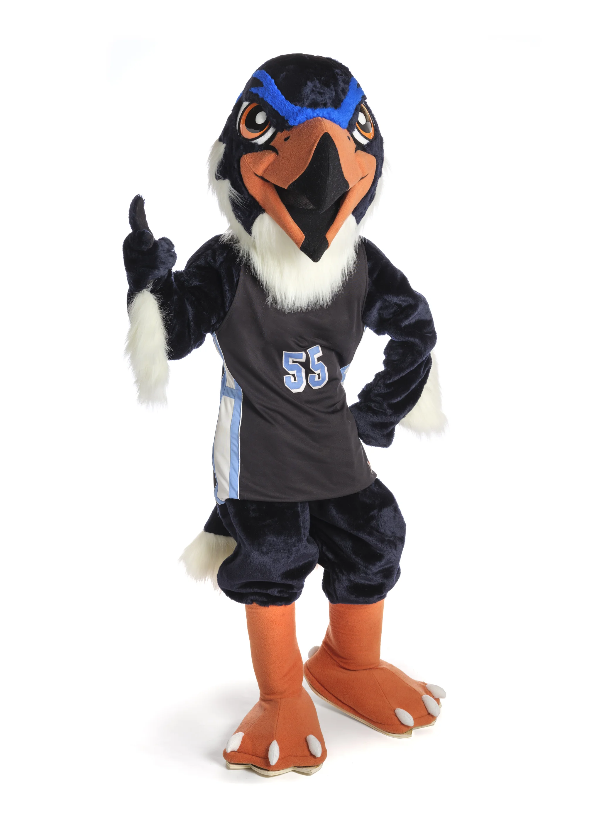 Hewitt School Blue Hawks | The Mascot Company