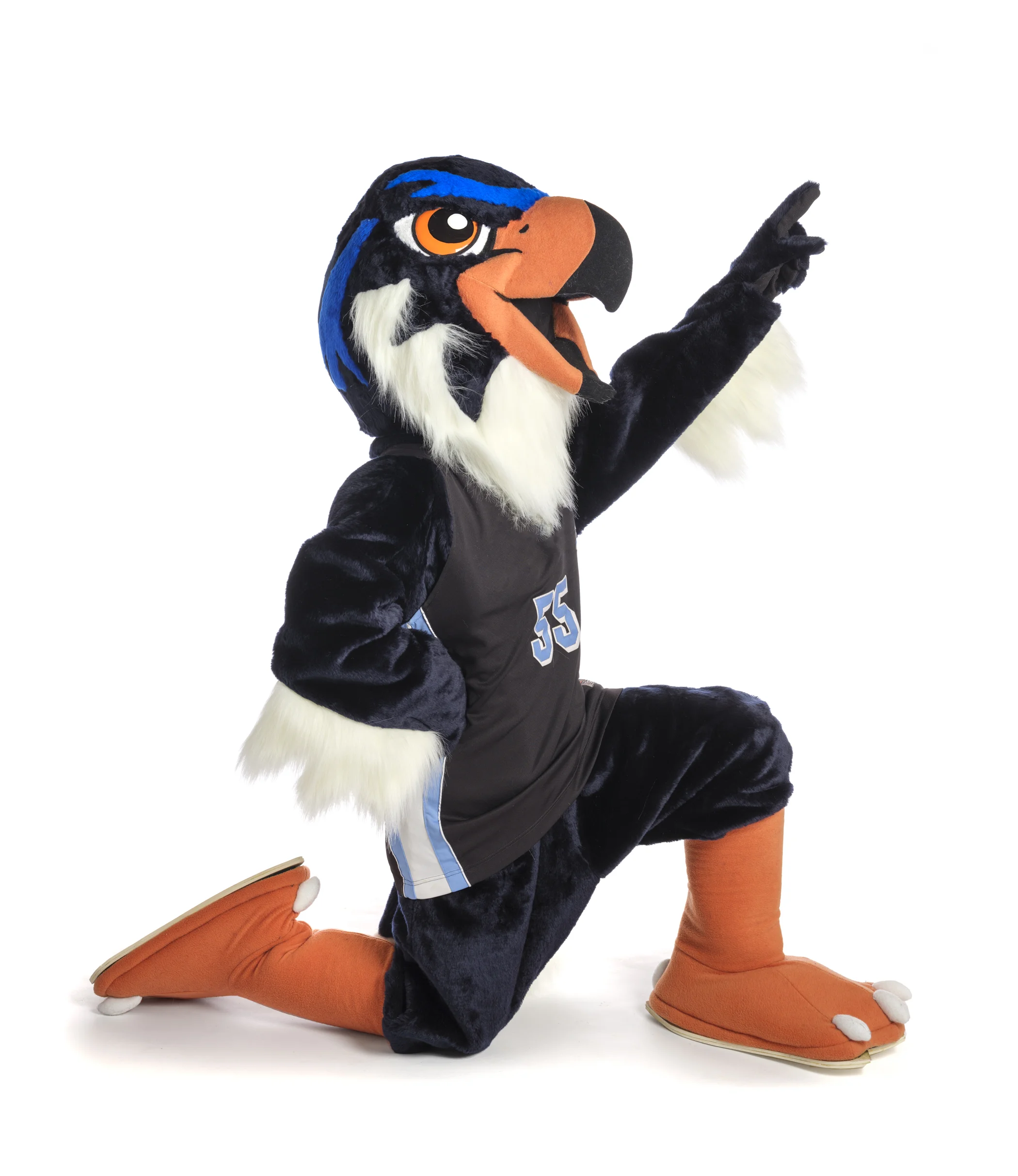 Hewitt School Blue Hawks | The Mascot Company