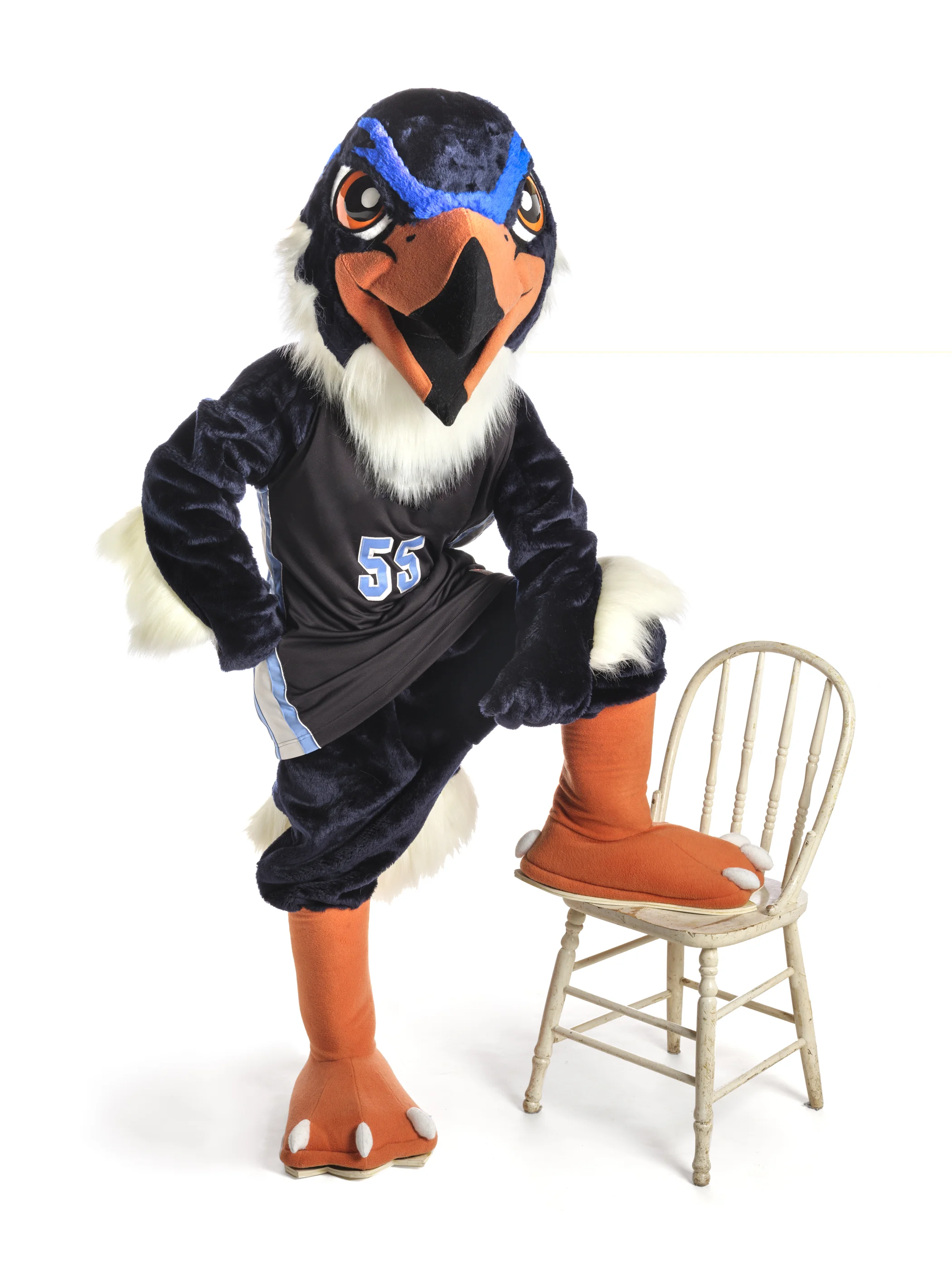 Hewitt School Blue Hawks | The Mascot Company