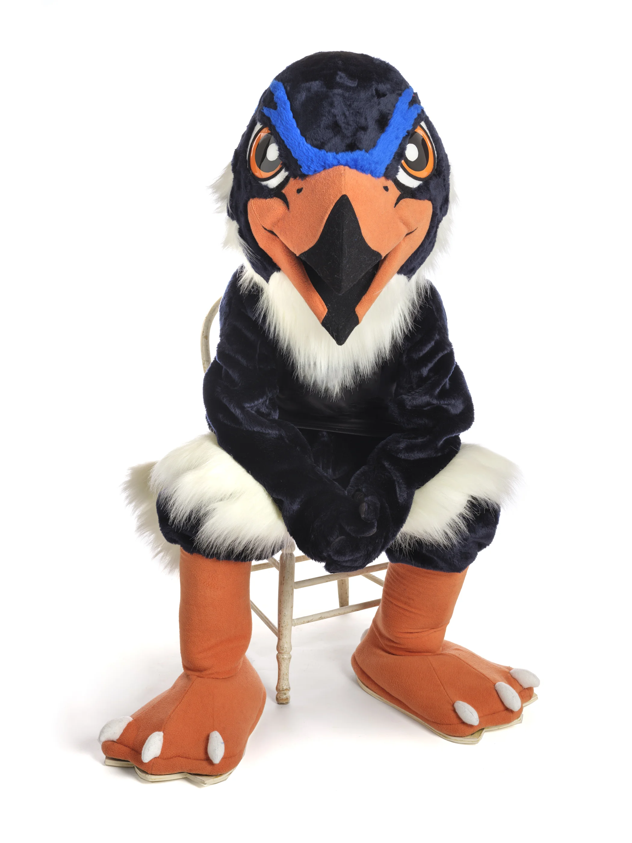 Hewitt School Blue Hawks | The Mascot Company