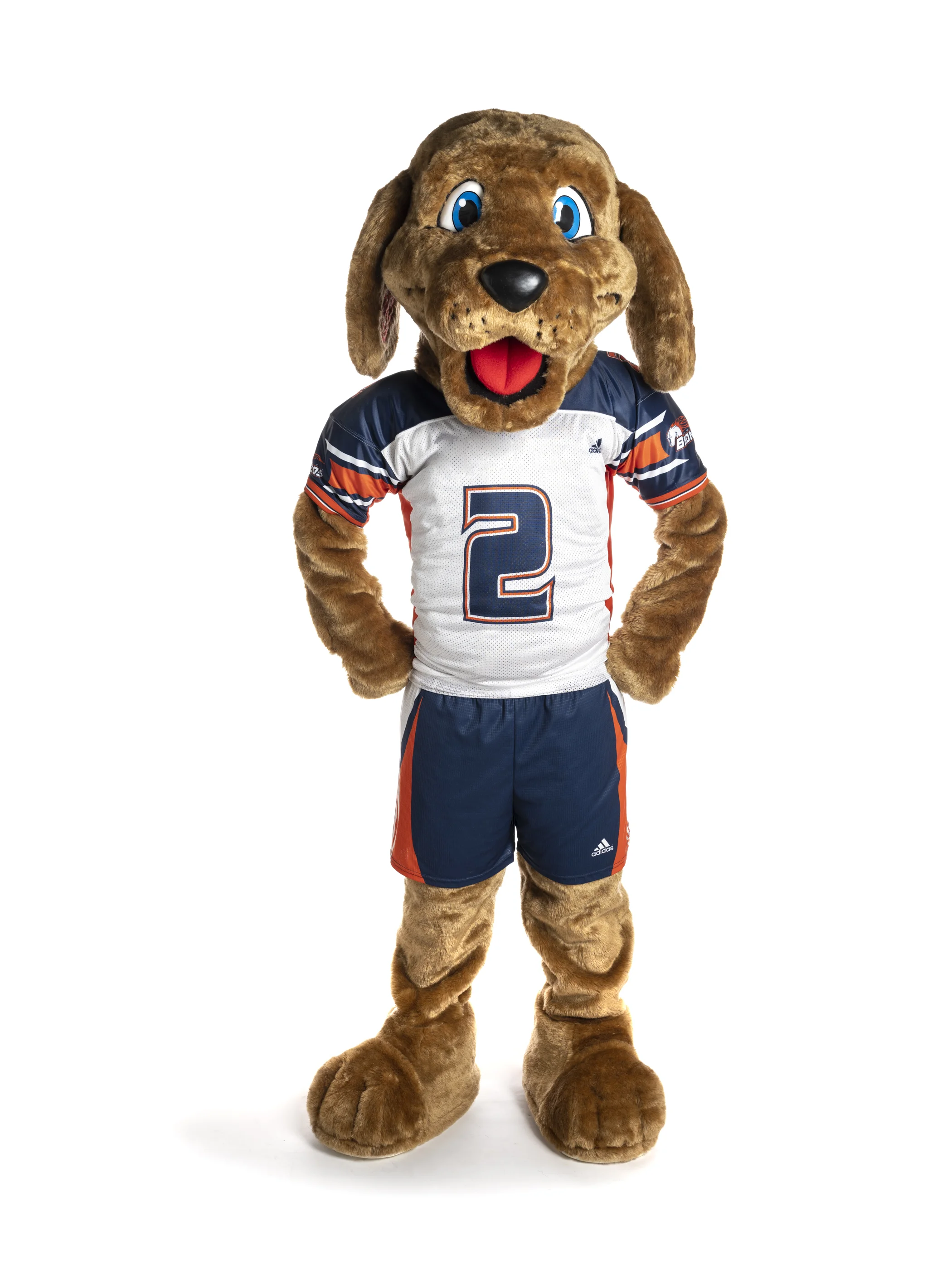 KC Comets | The Mascot Company