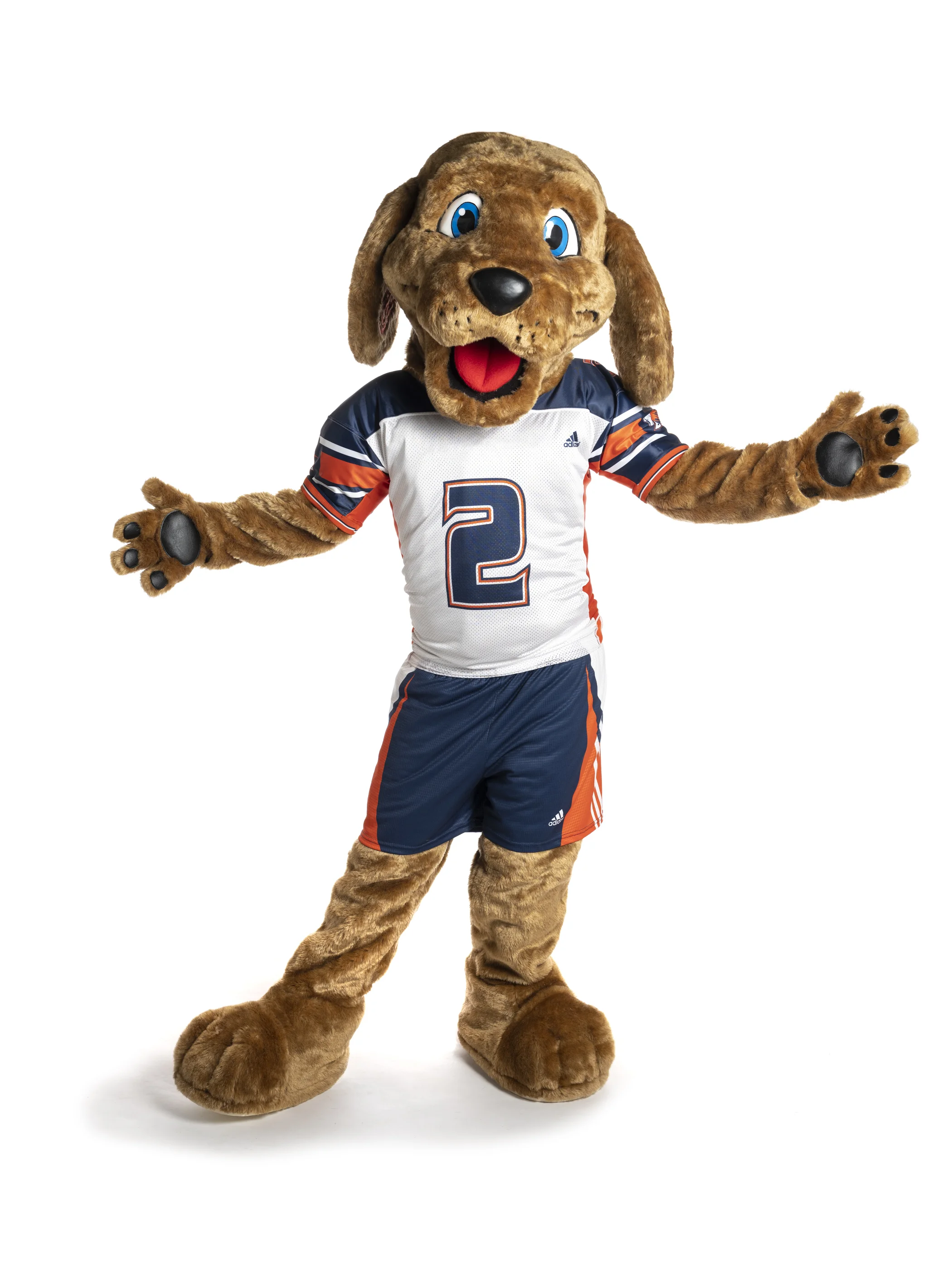 KC Comets | The Mascot Company