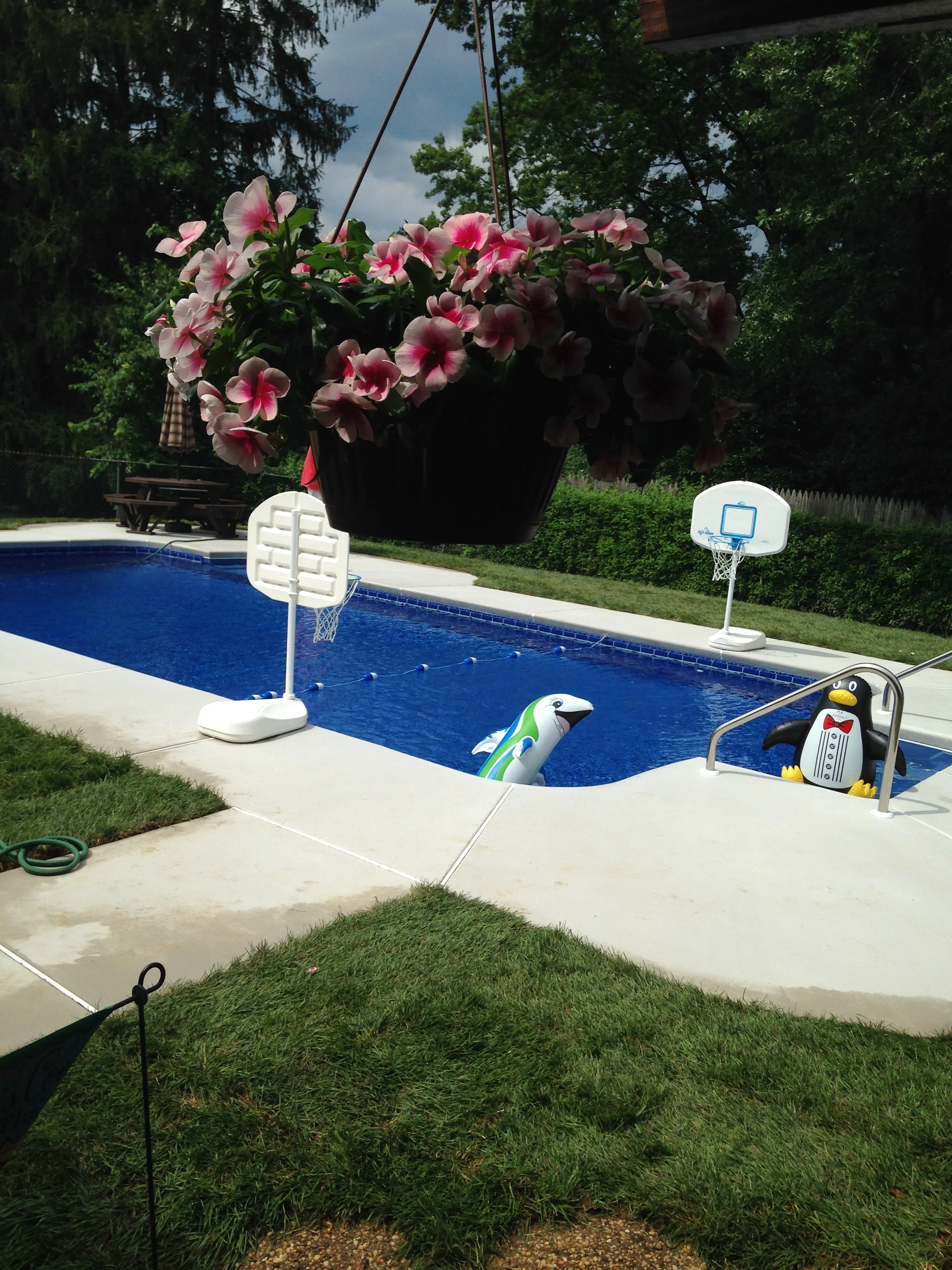 In-Ground pool options — bucks county in-ground pool builder