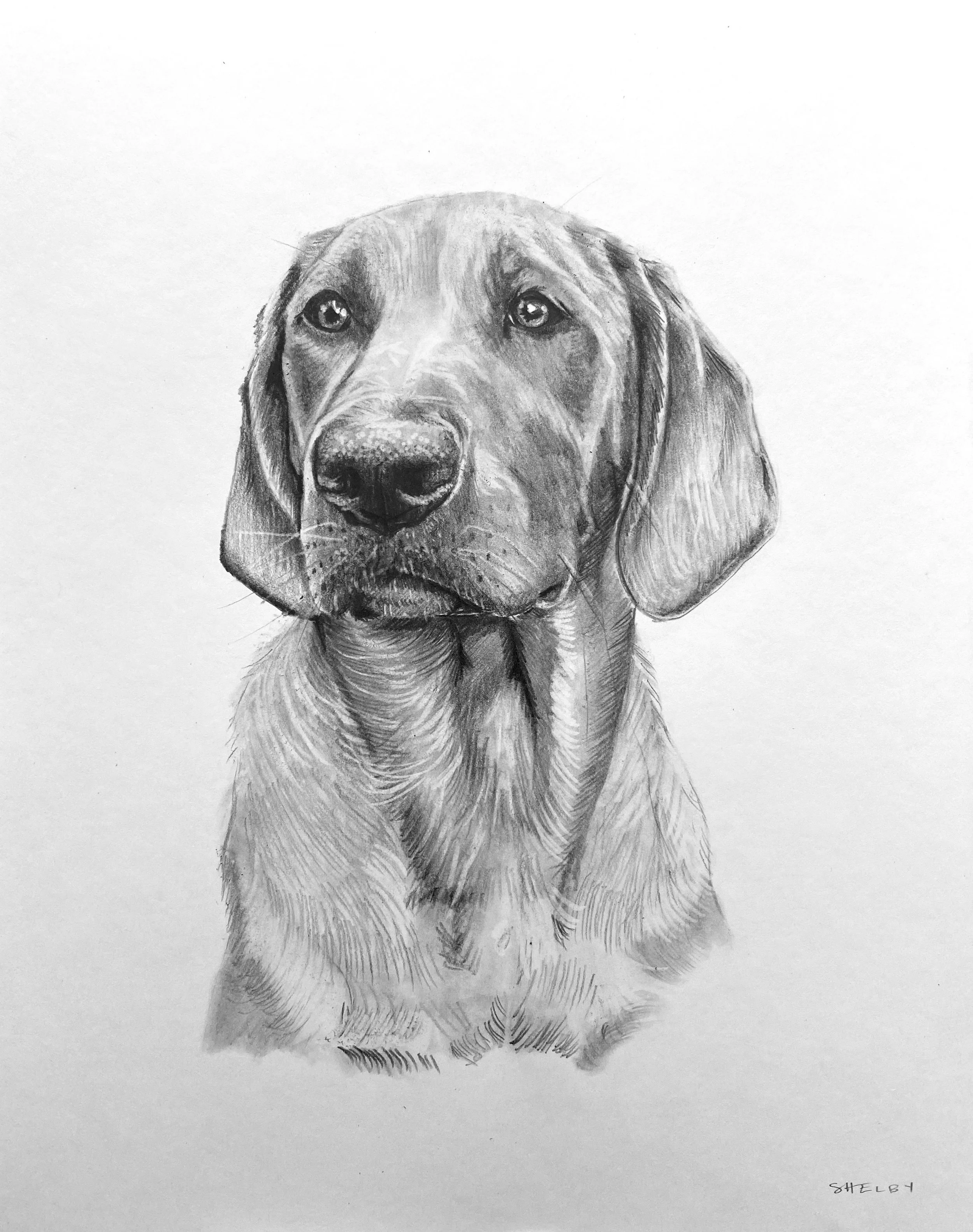 shelby hamilton art | design
