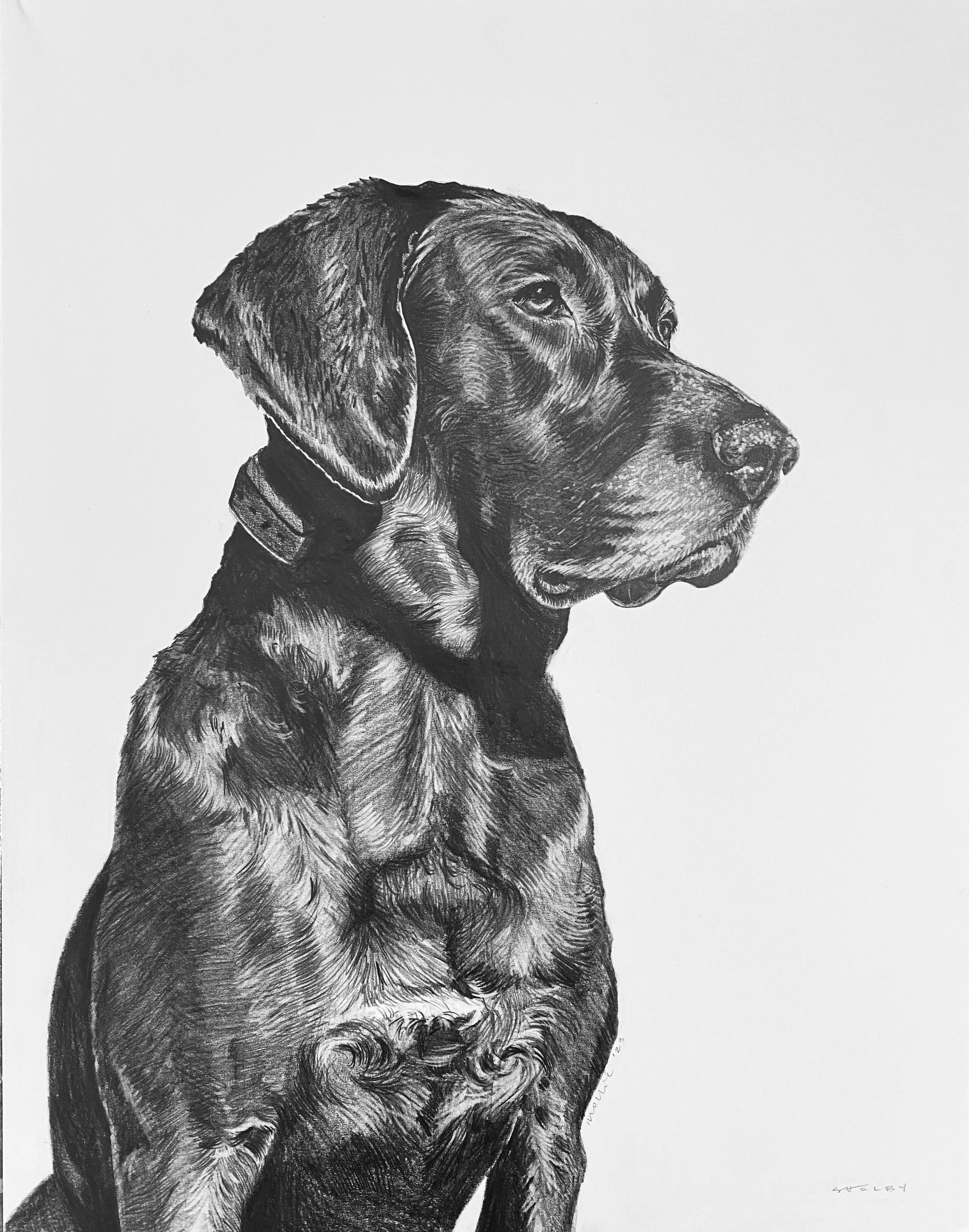 Shelby Hamilton | Contemporary Artist